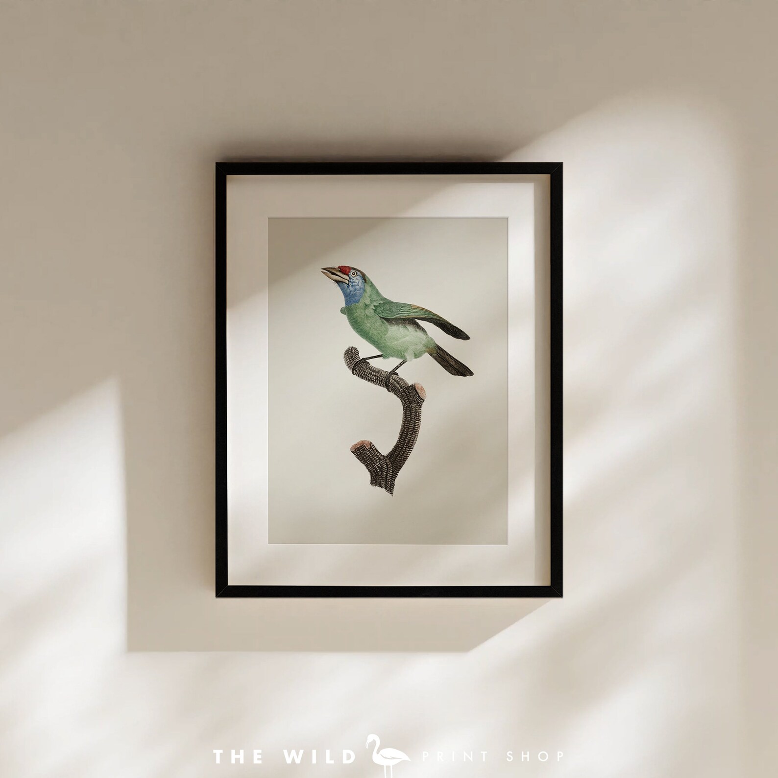 Vintage Bird Print, Bee Eater Print, Tropical Bird Print, Bird Wall Art ...