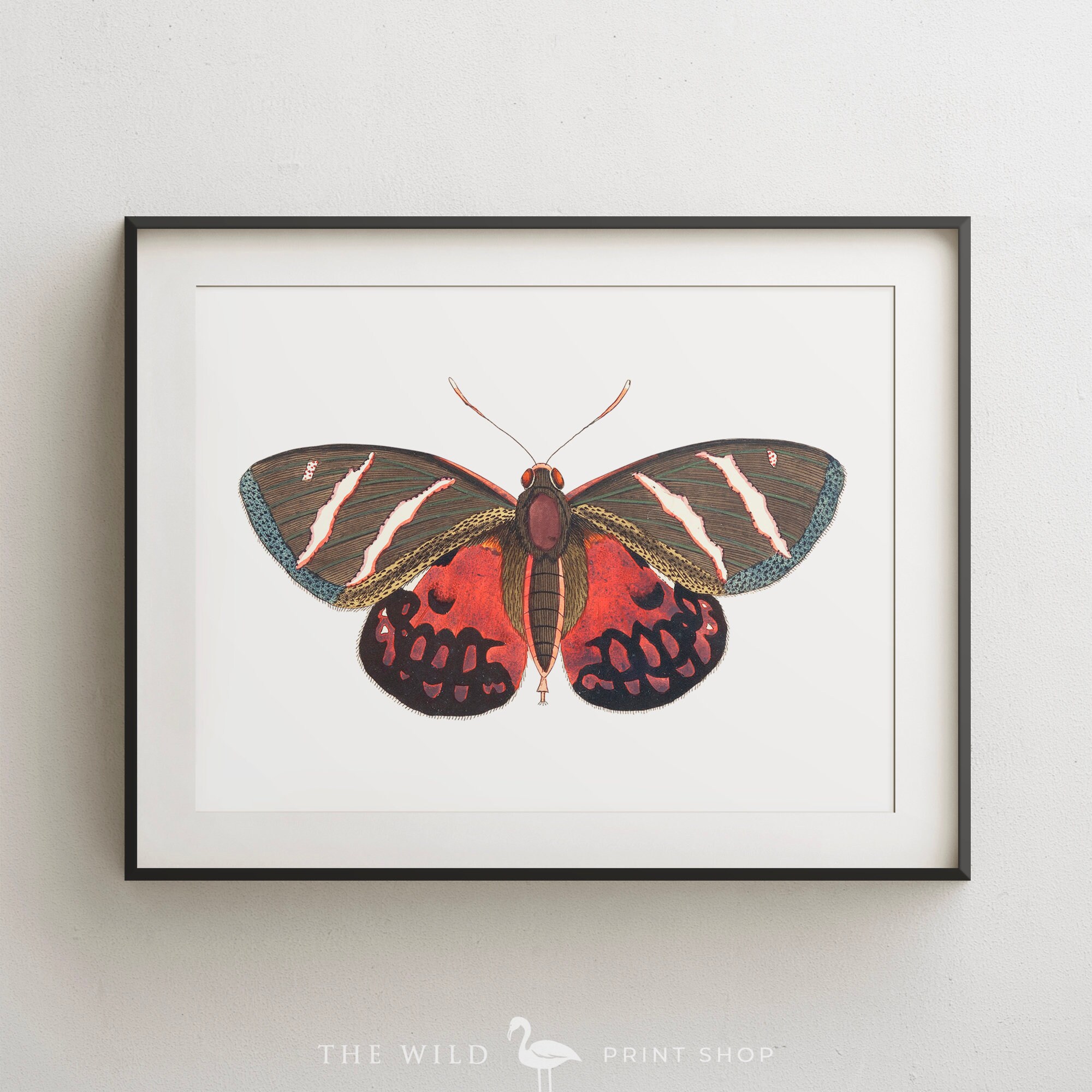 Vintage Butterfly Print Butterfly Art Print Butterfly Wall | Etsy