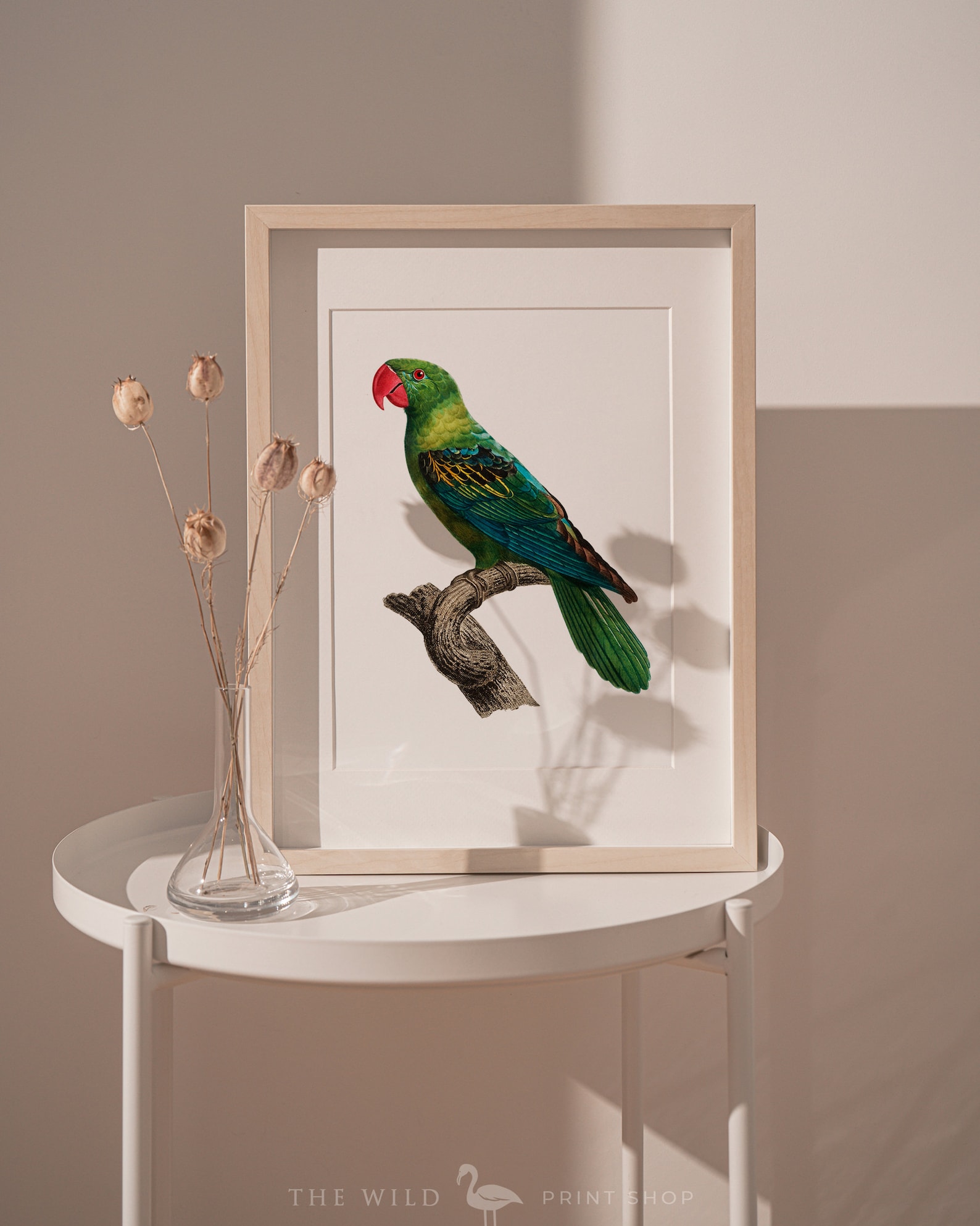 Vintage Parrot Print Great Billed Parrot Print Parrot Print | Etsy