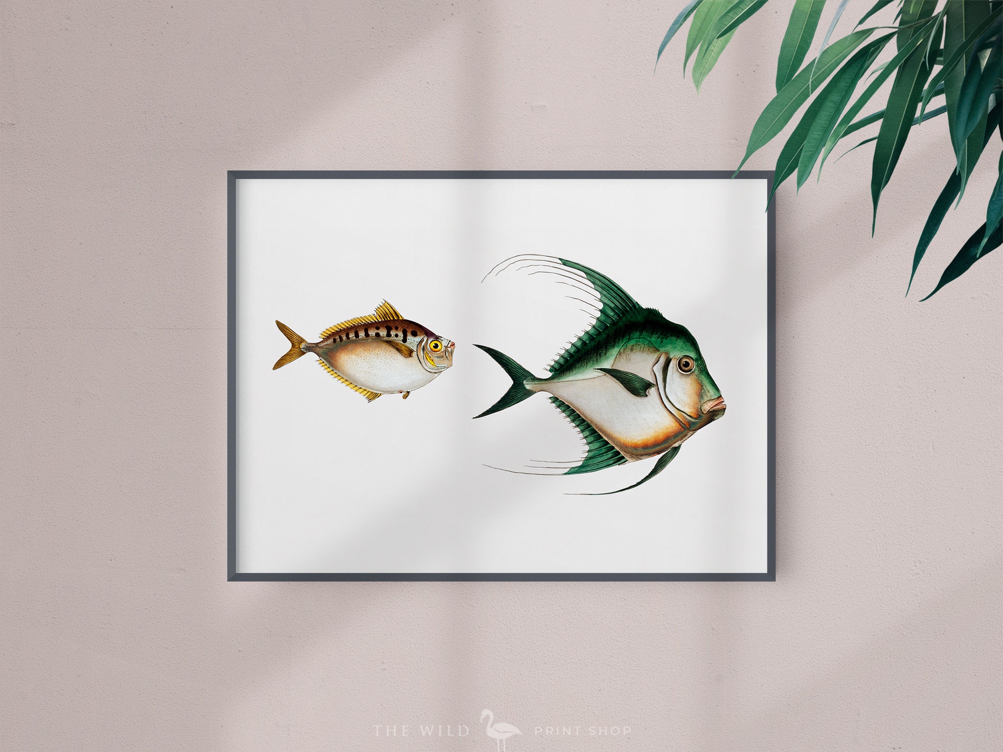 Vintage Fish Print Tropical Fish Print Fish Wall Art | Etsy