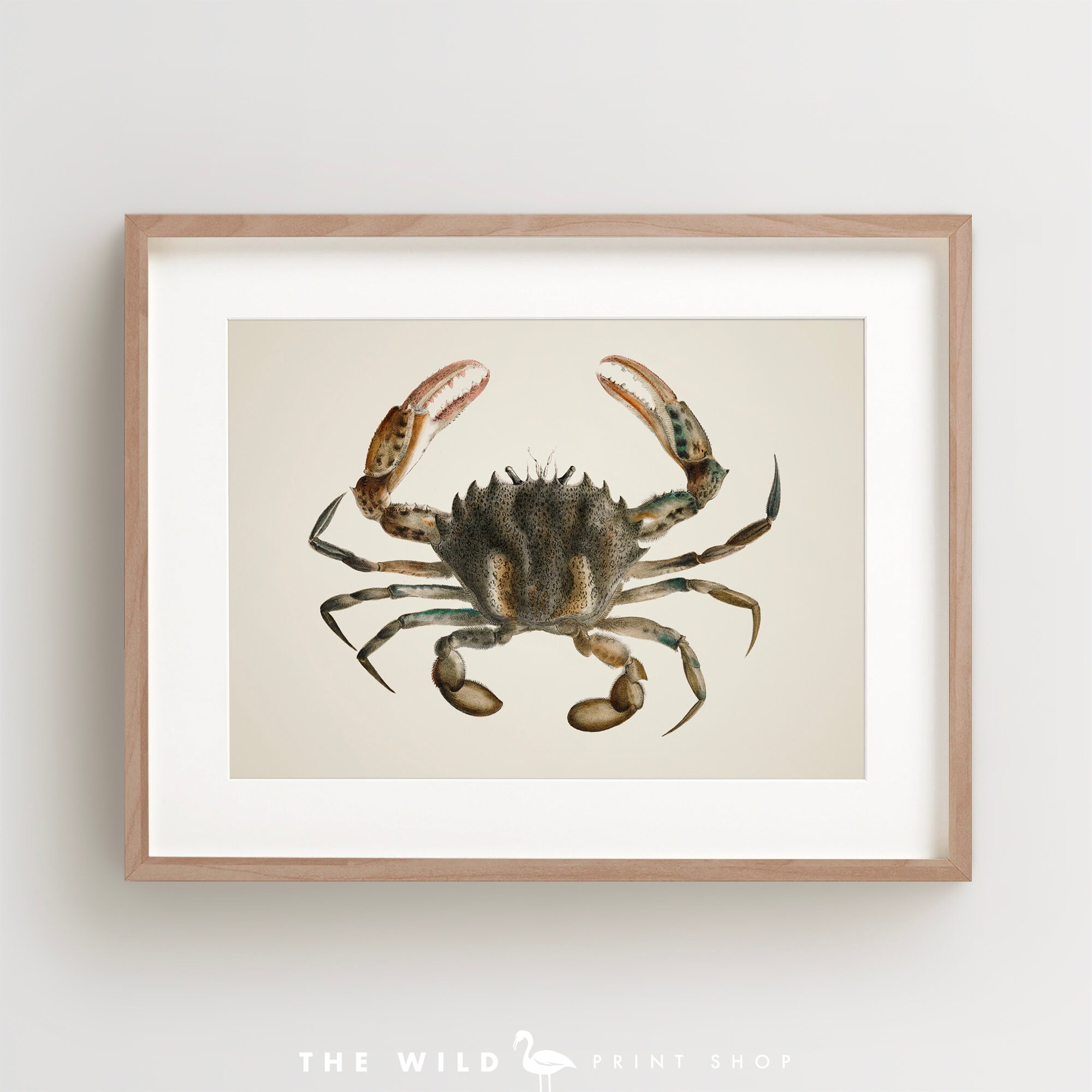 Crab Print, Vintage Crab Print, Crab Wall Art, Nautical Print ...
