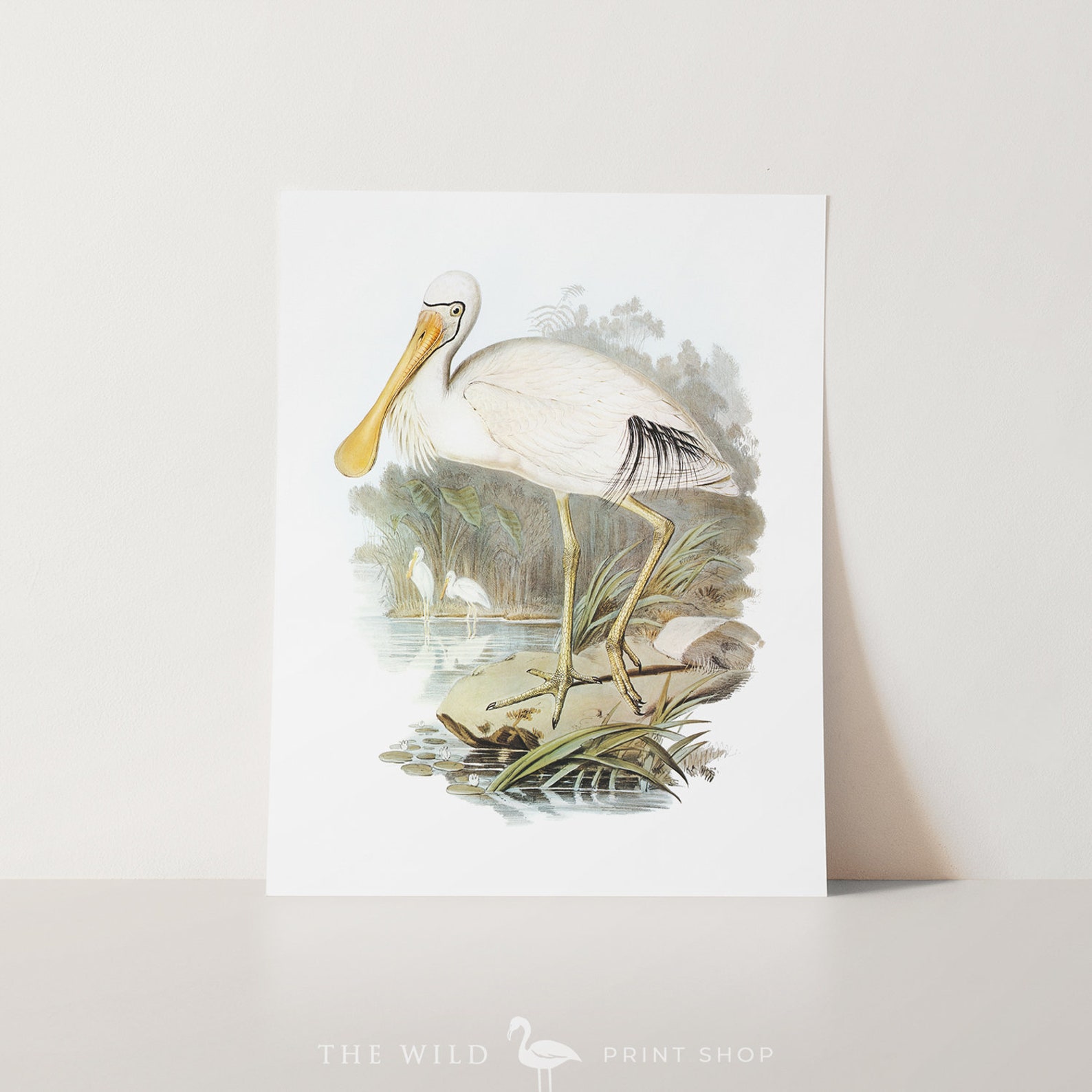 Vintage Bird Print Spoonbill Print Coastal Bird Print Bird - Etsy