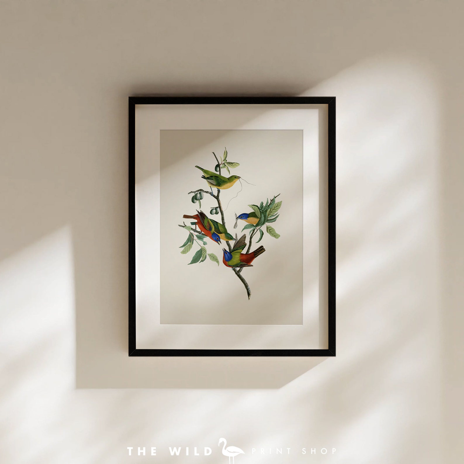 Vintage Bird Print, Painted Finch Print, Bird Wall Art, Audubon Bird ...