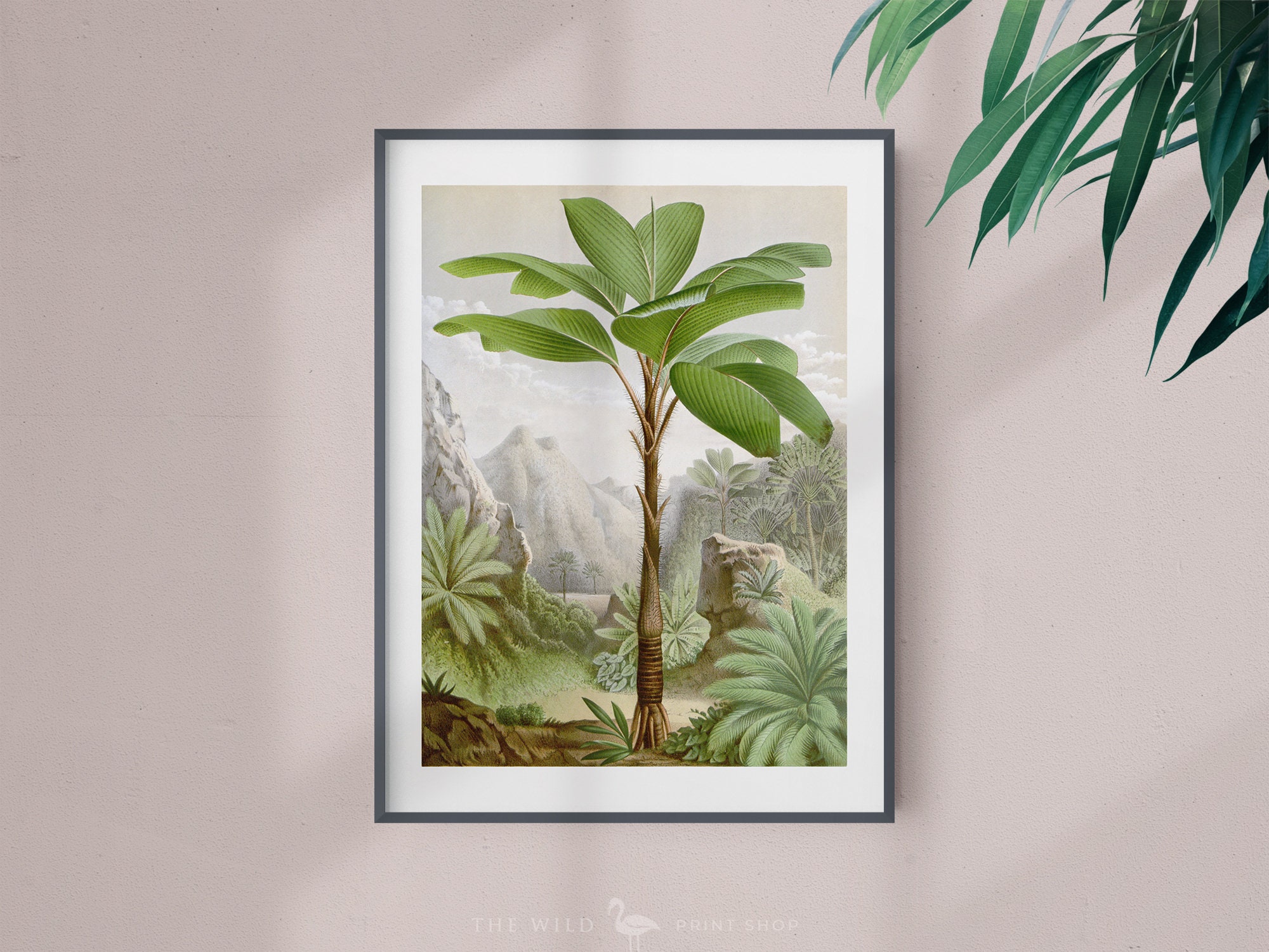 Palm Tree Print Tropical Palm Print Island Print Vintage | Etsy