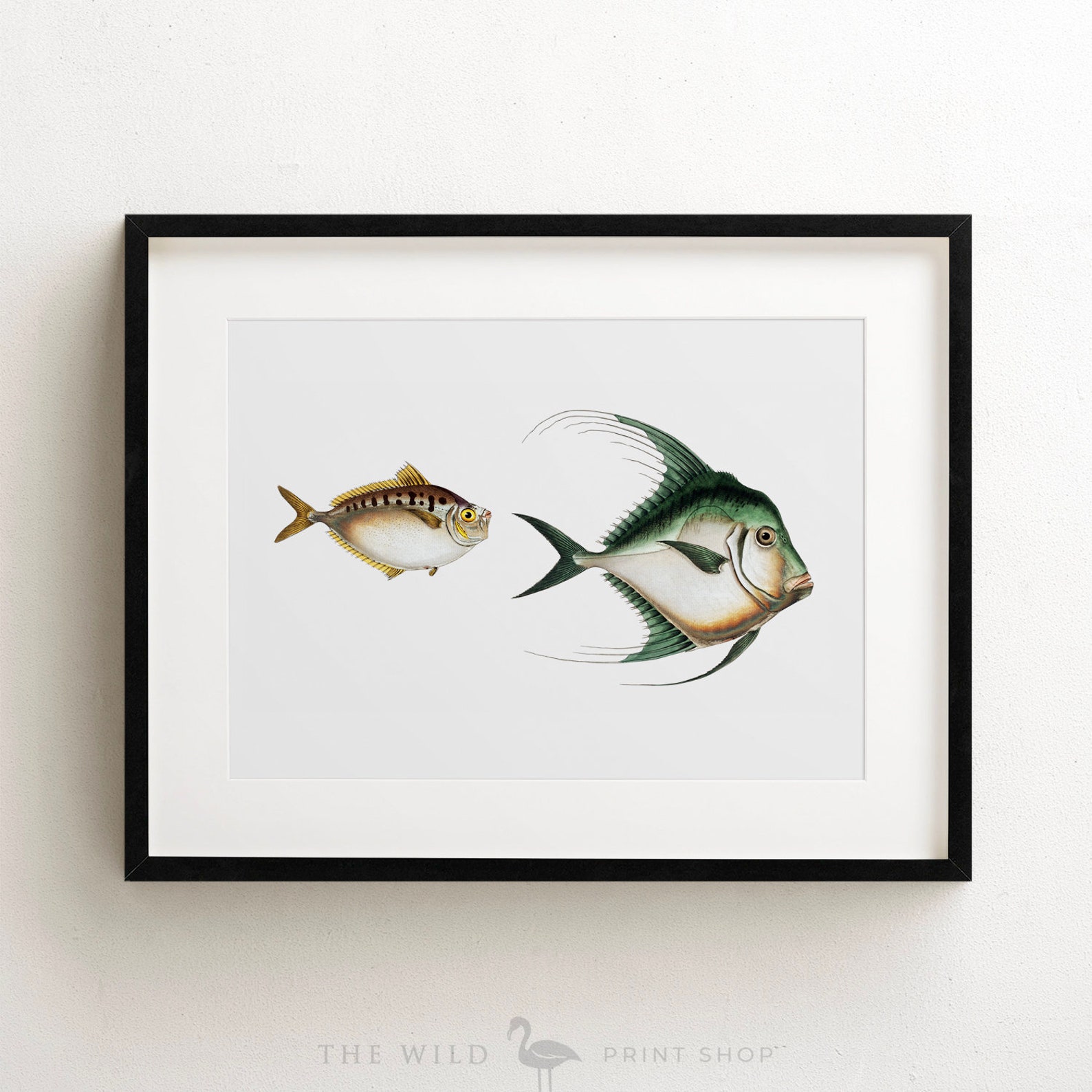 Vintage Fish Print Tropical Fish Print Fish Wall Art - Etsy