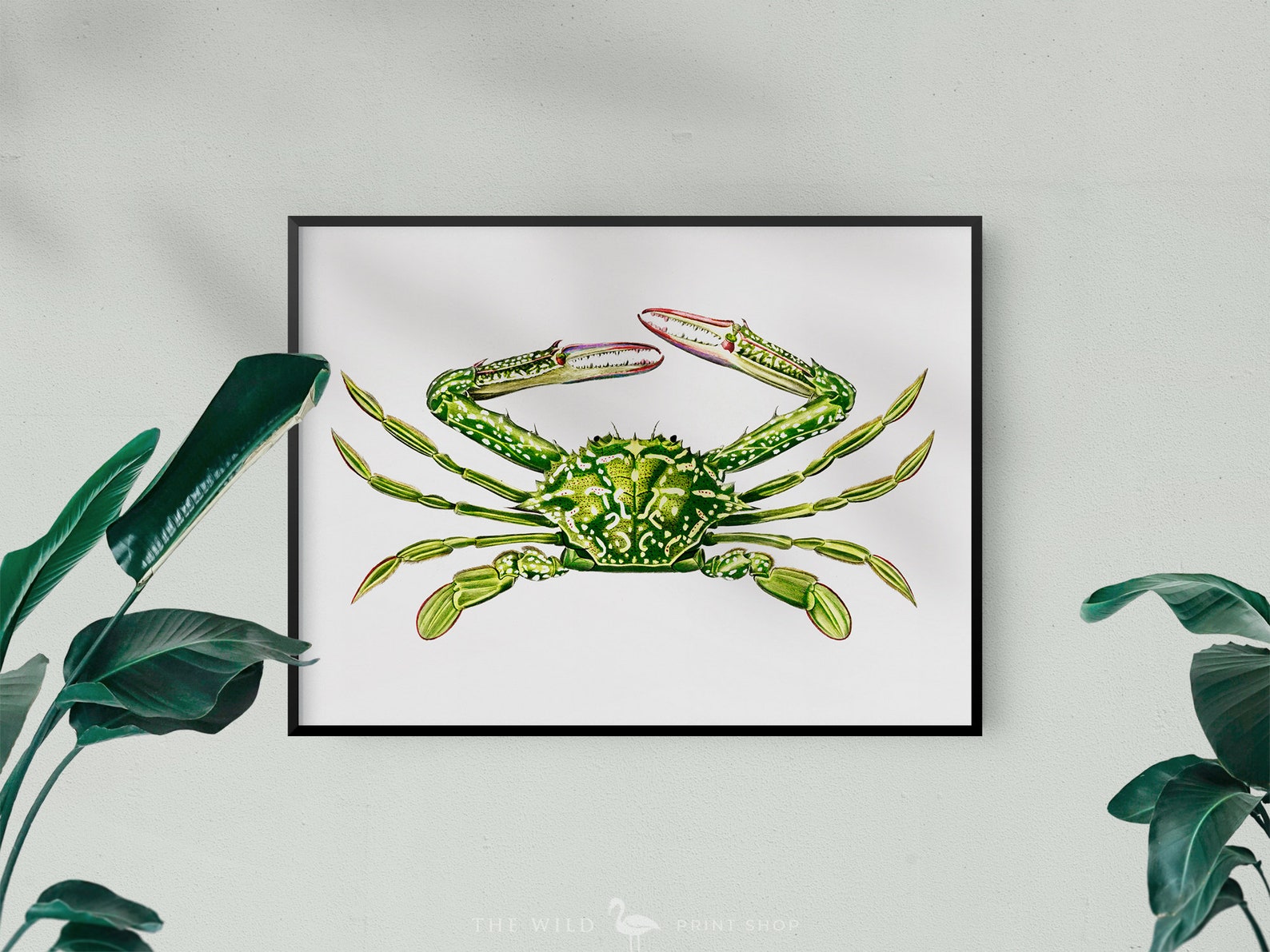 Crab Print Vintage Crab Print Crab Wall Art Nautical Print | Etsy
