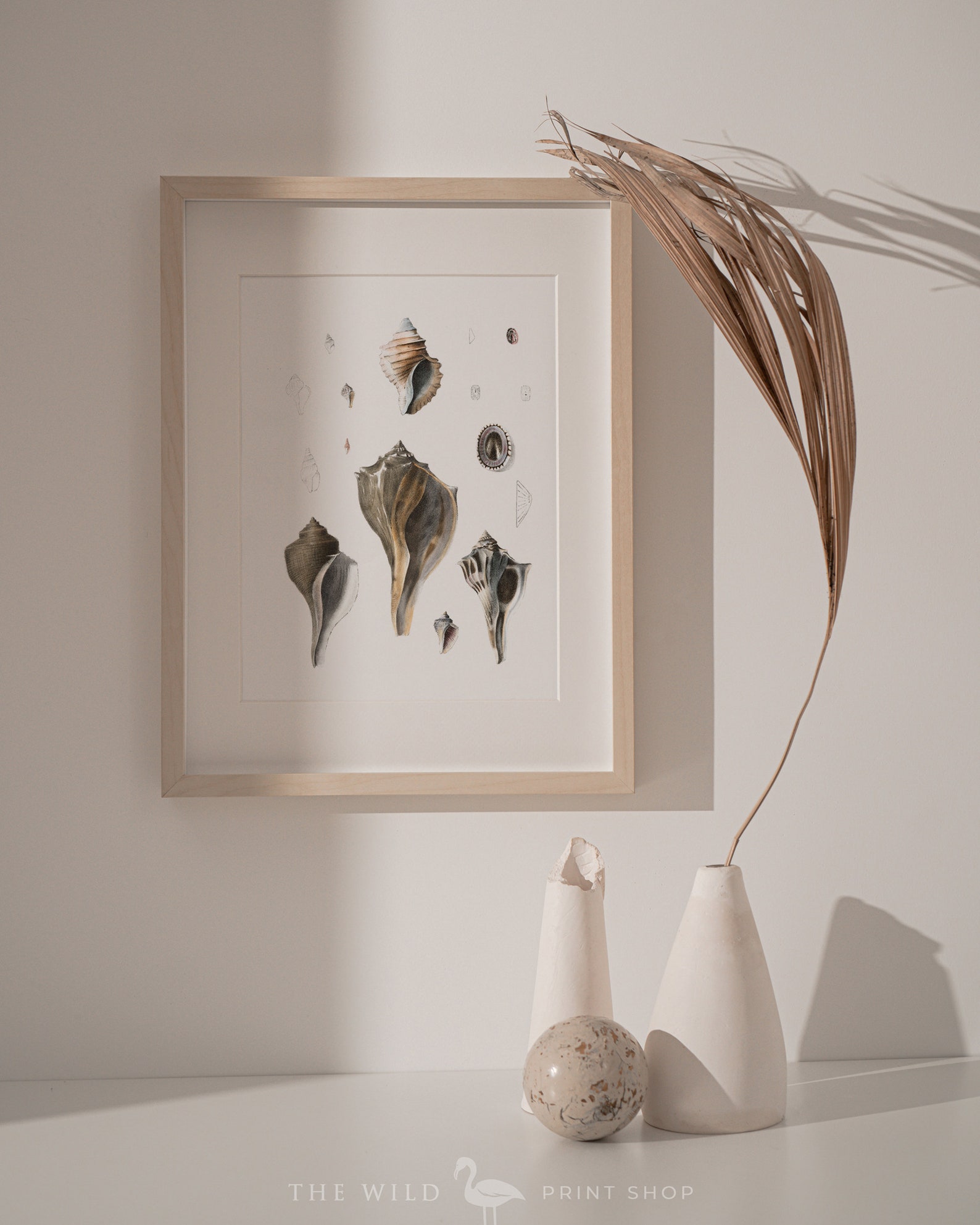 Seashell Print Vintage Seashell Print Seashell Wall Art | Etsy