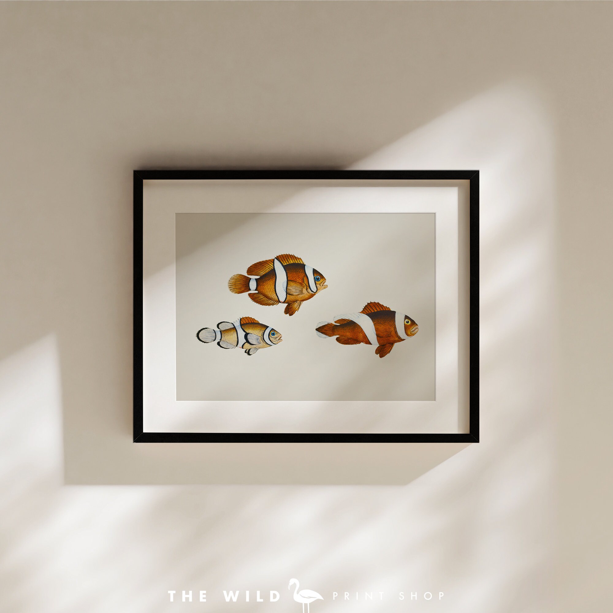 Vintage Fish Print, Tropical Fish Print, Fish Wall Art, Nautical Print ...