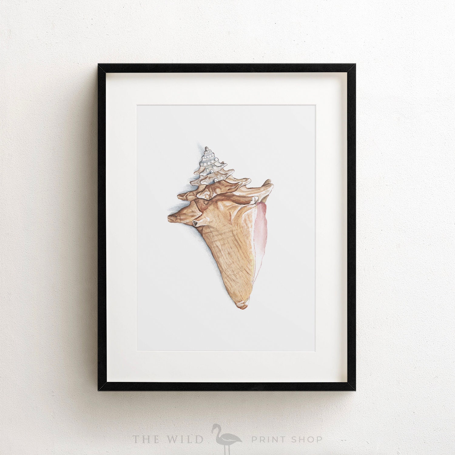 Seashell Print Vintage Seashell Print Seashell Wall Art | Etsy