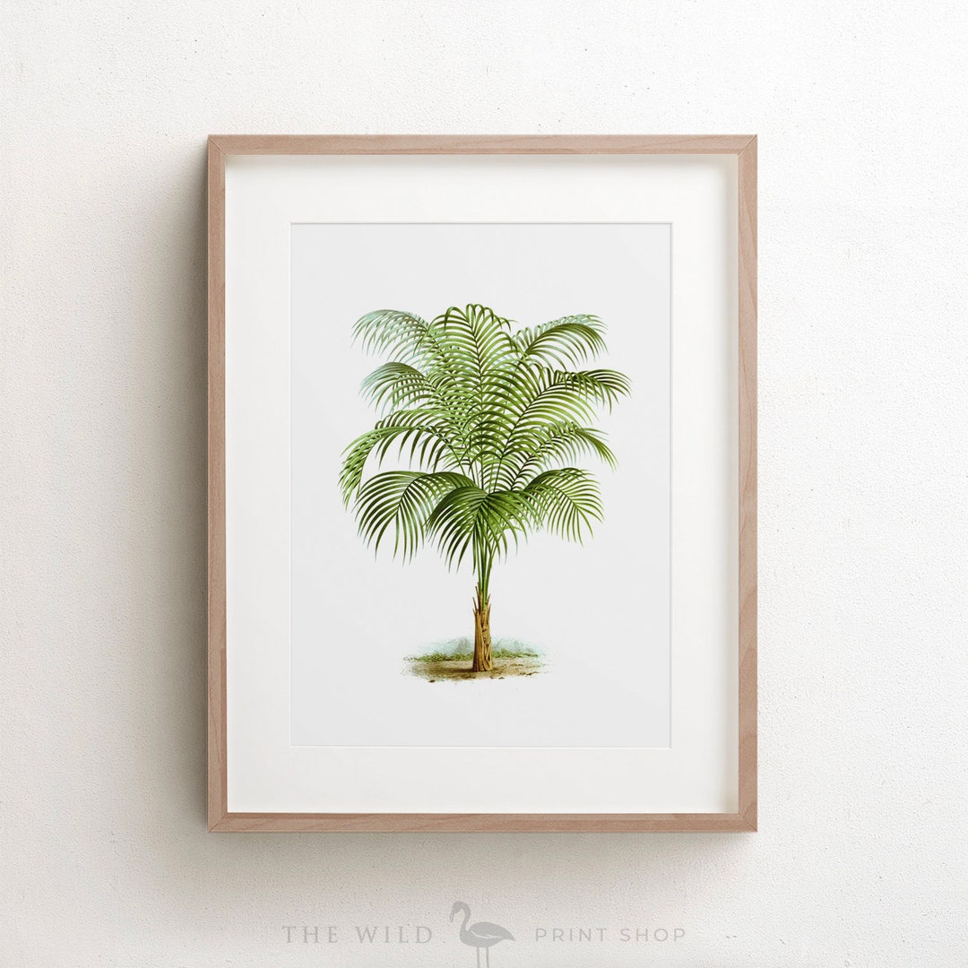 Palm Tree Print Tropical Palm Print Palm Tree Art Print - Etsy