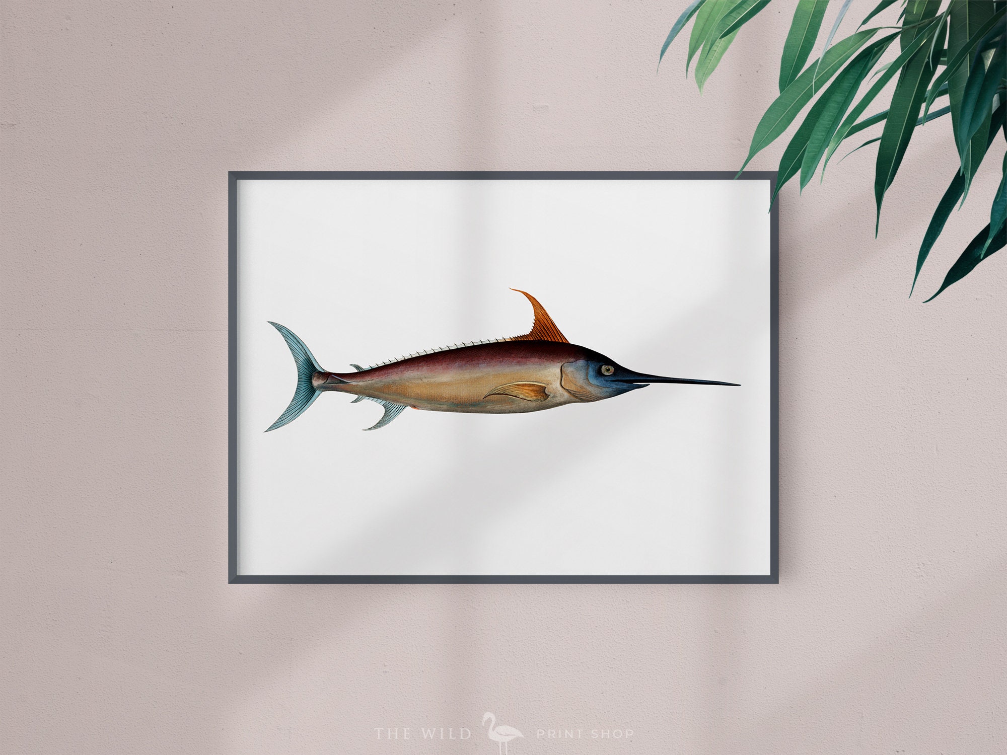Vintage Fish Print Tropical Fish Print Fish Wall Art | Etsy