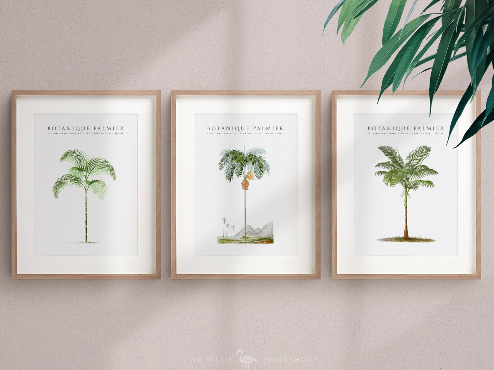Palm Tree Print Set Botanical Print Set Tropical Palm Print | Etsy