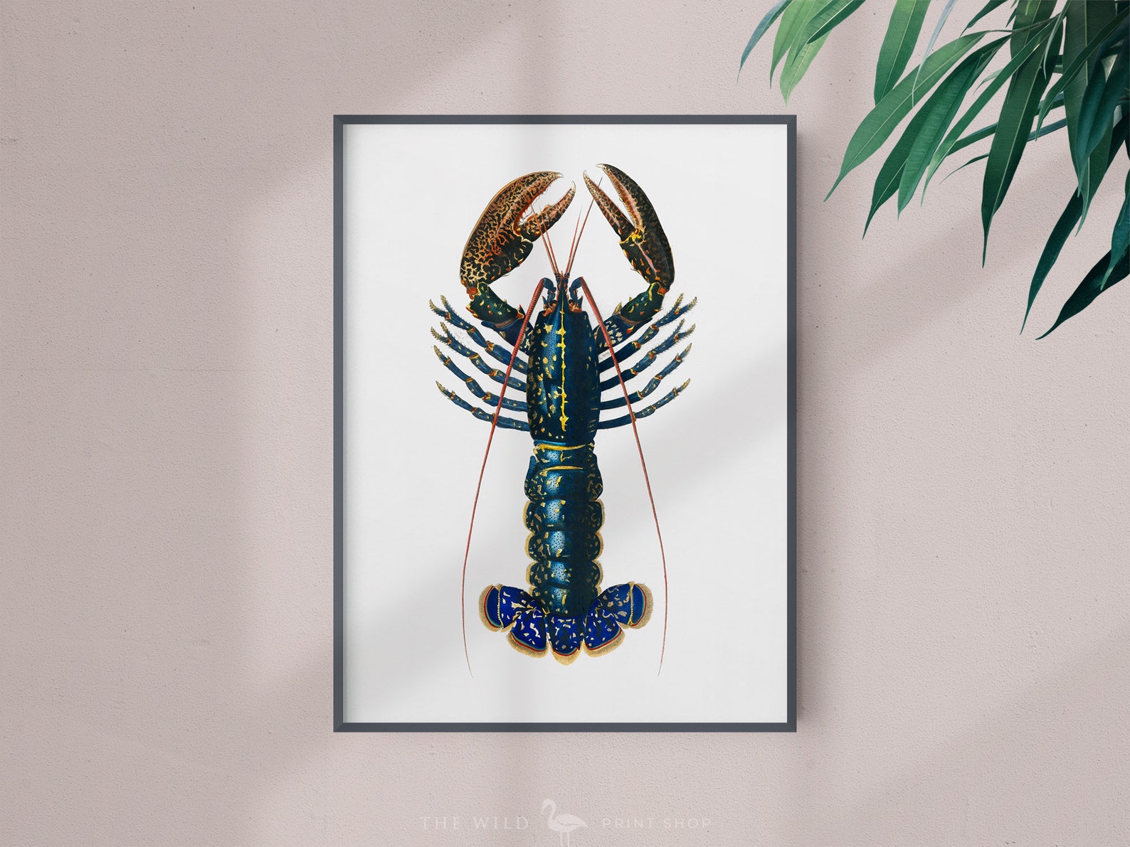 Lobster Print Vintage Lobster Print Lobster Wall Art | Etsy