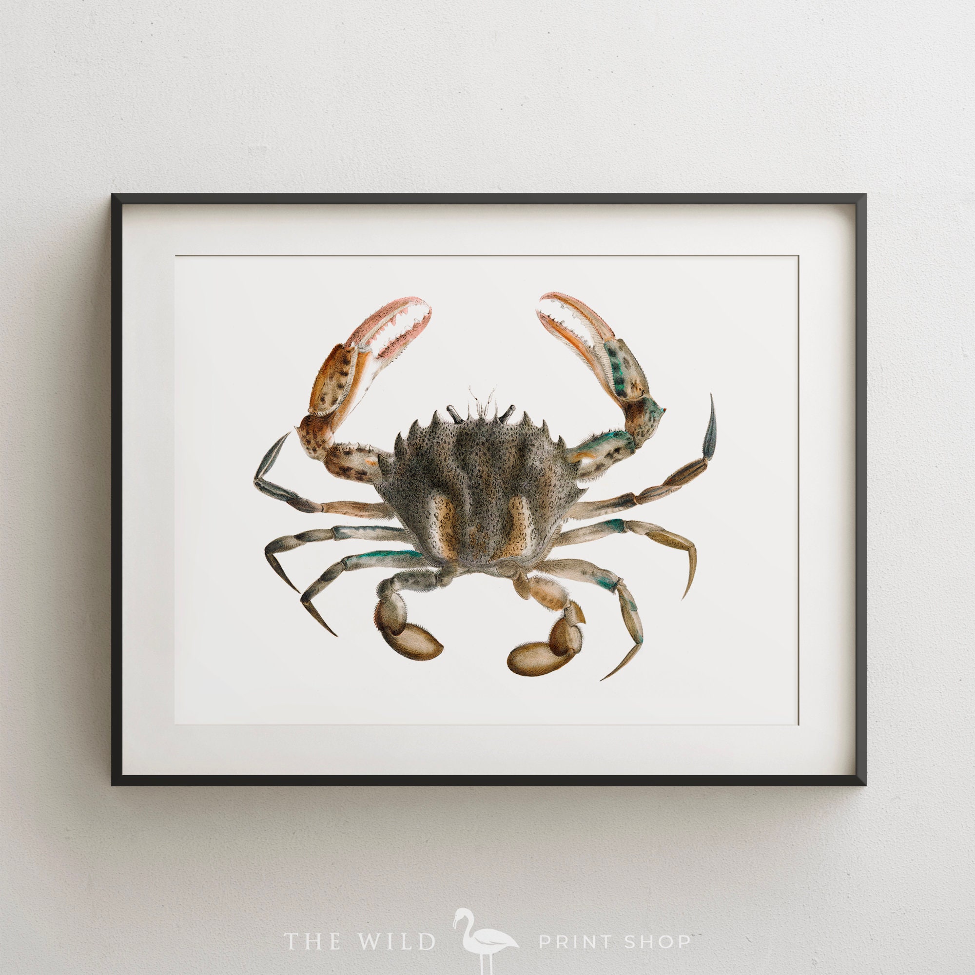 Crab Print Vintage Crab Print Crab Wall Art Nautical Print | Etsy