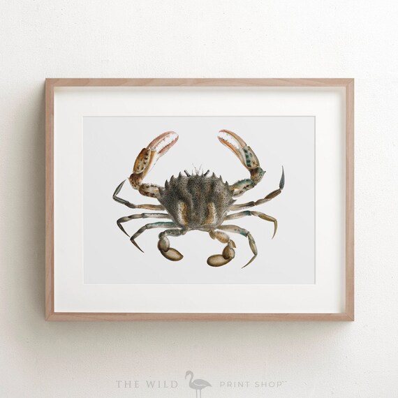 Crab Print Vintage Crab Print Crab Wall Art Nautical Print | Etsy