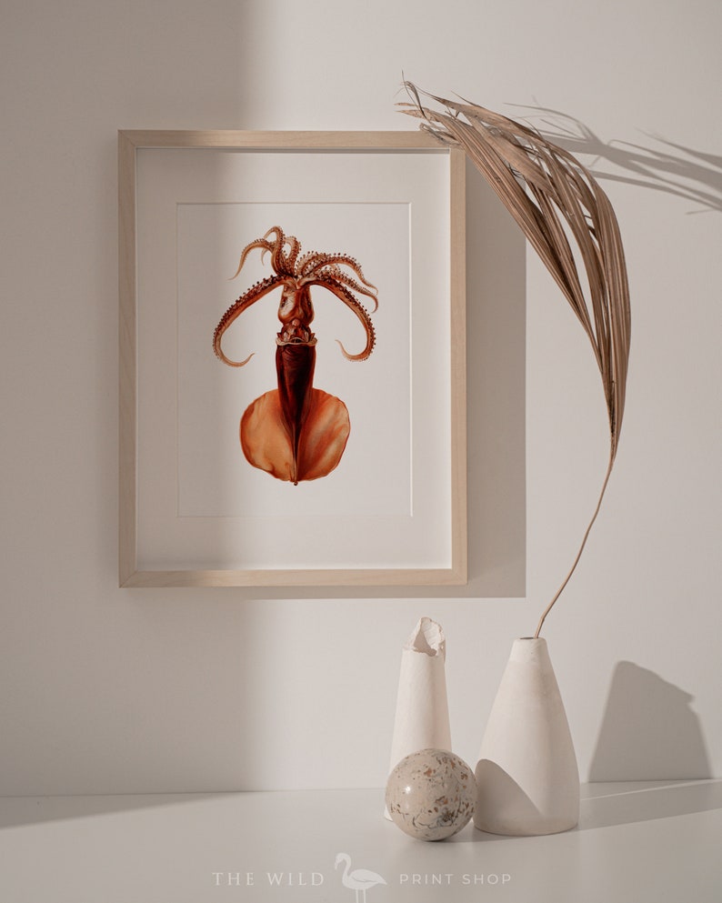 Squid Print Vintage Squid Print Squid Wall Art Nautical | Etsy