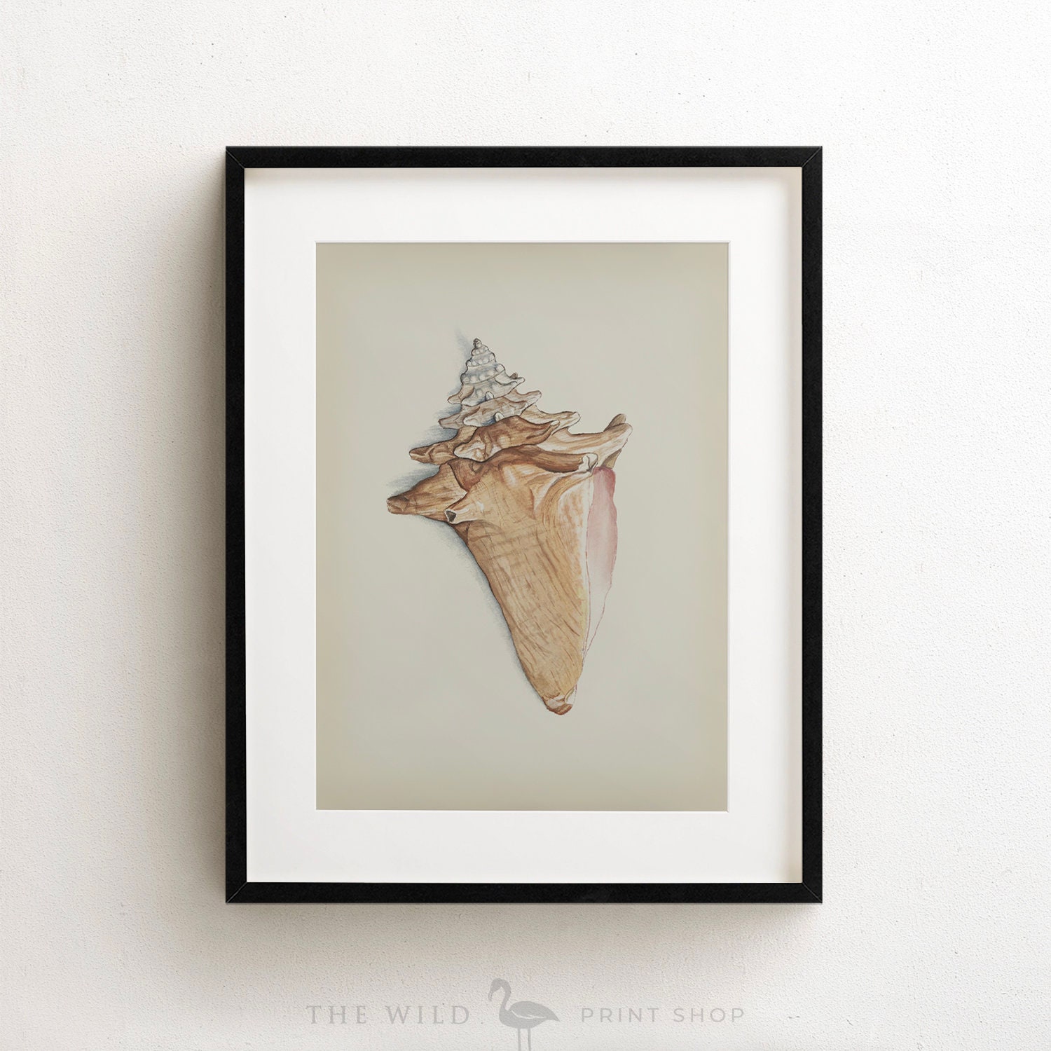 Seashell Print Vintage Seashell Print Seashell Wall Art | Etsy