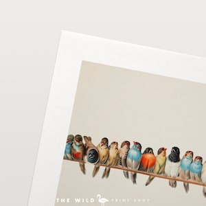 Vintage Bird Print, A Perch of Birds, Colorful Bird Print, Bird Wall ...