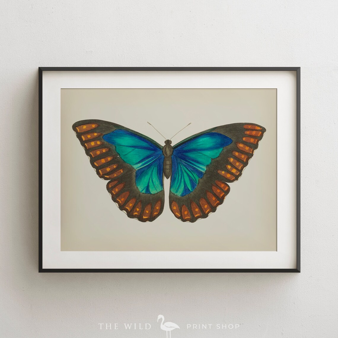 Vintage Butterfly Print Butterfly Art Print Butterfly Wall | Etsy