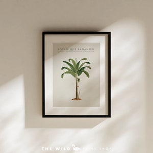 Banana Tree Print, Banana Tree Art Print, Vintage Botanical Print ...