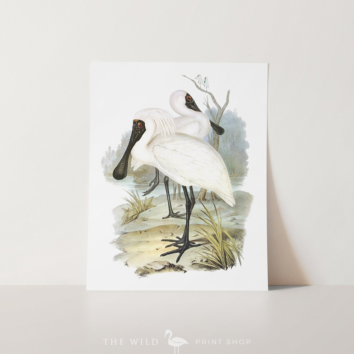 Vintage Bird Print Spoonbill Print Coastal Bird Print Bird | Etsy