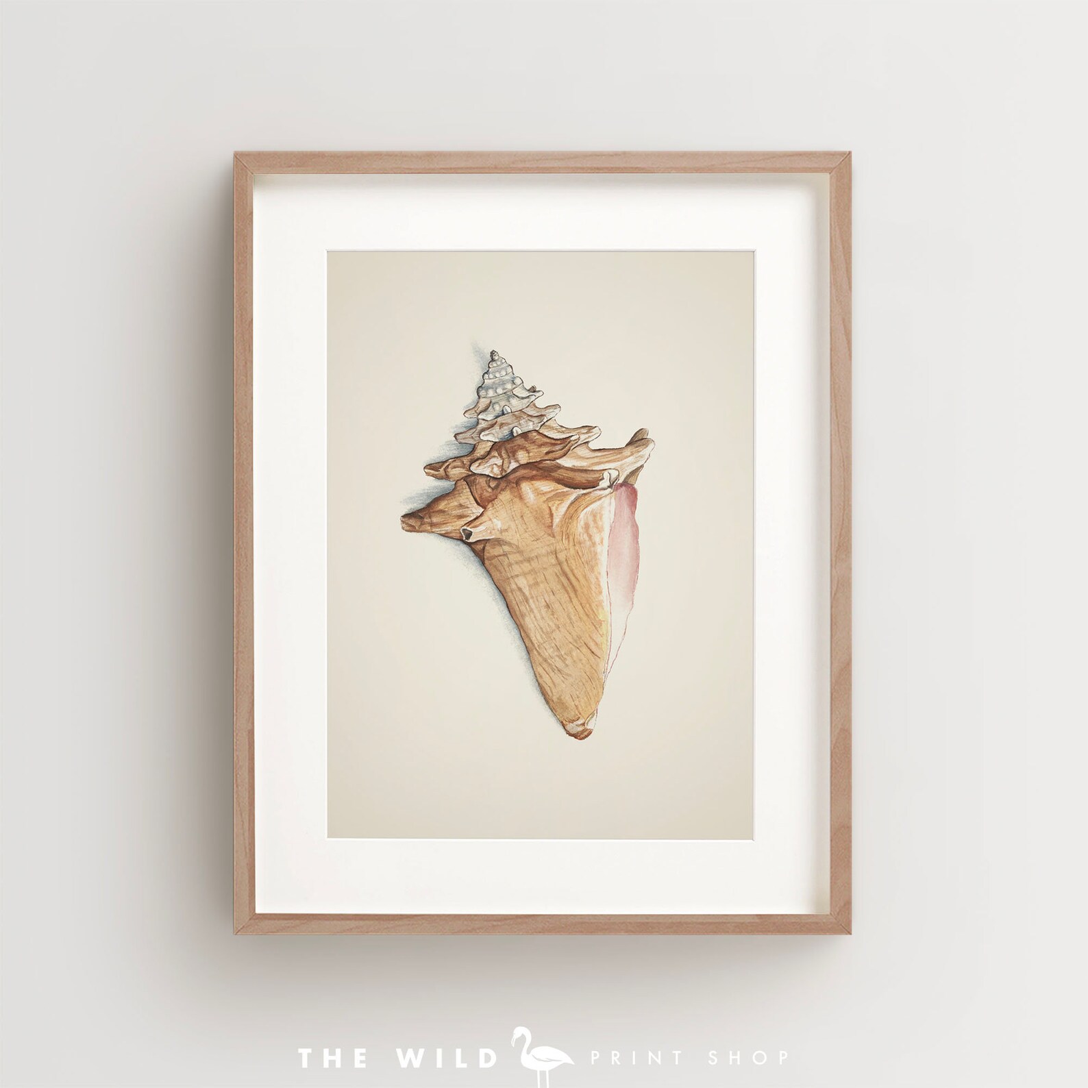 Seashell Print, Vintage Seashell Print, Seashell Wall Art, Nautical ...