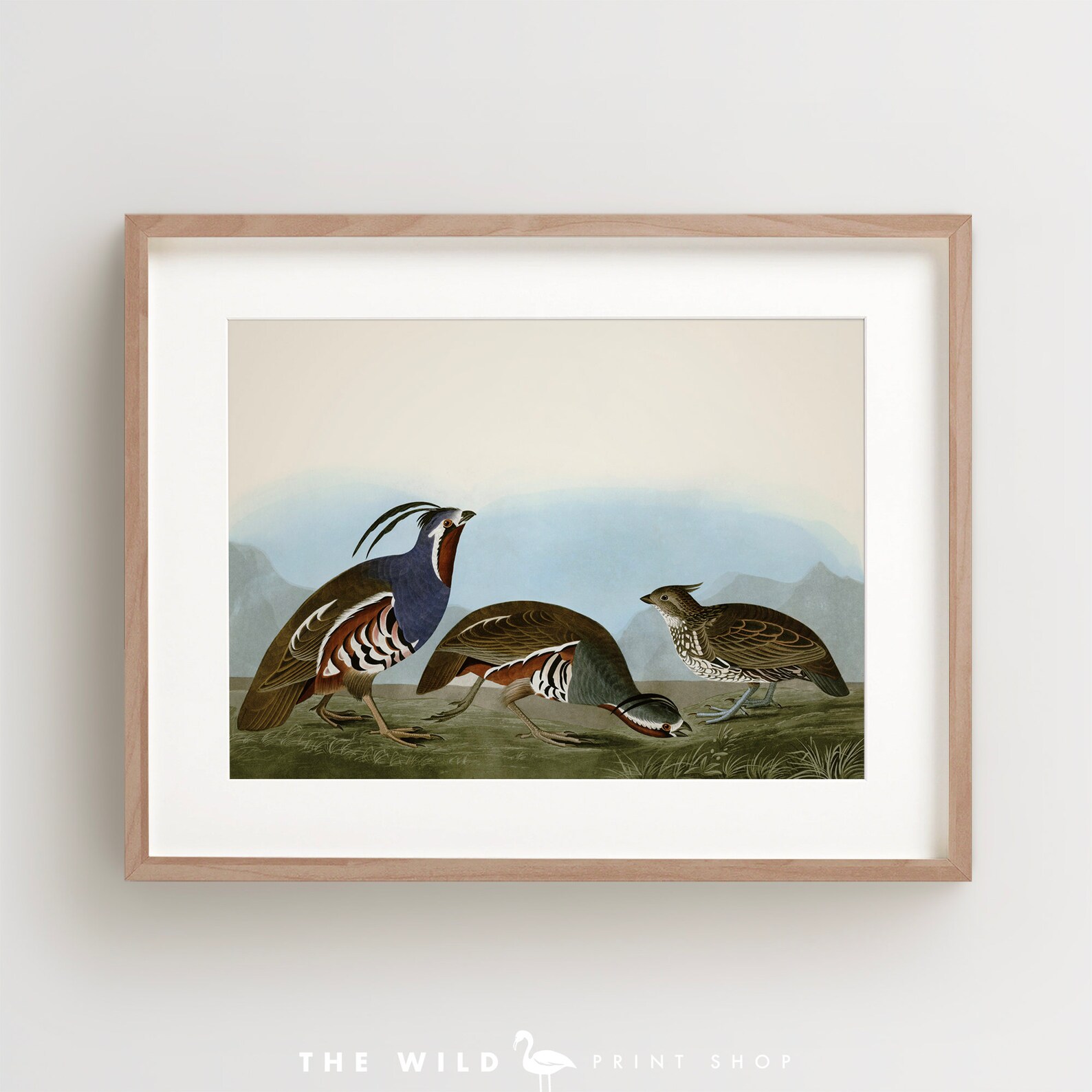 Vintage Bird Print, Plumed Partridge Print, Bird Wall Art, Audubon Bird ...