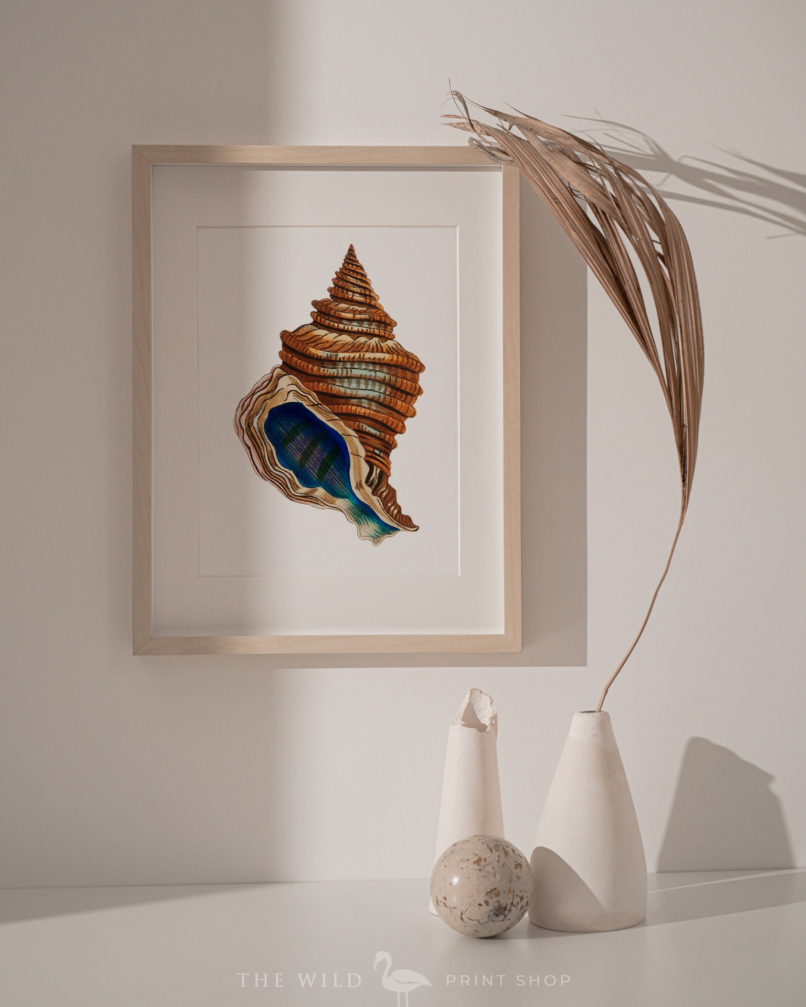Seashell Print Vintage Seashell Print Seashell Wall Art - Etsy