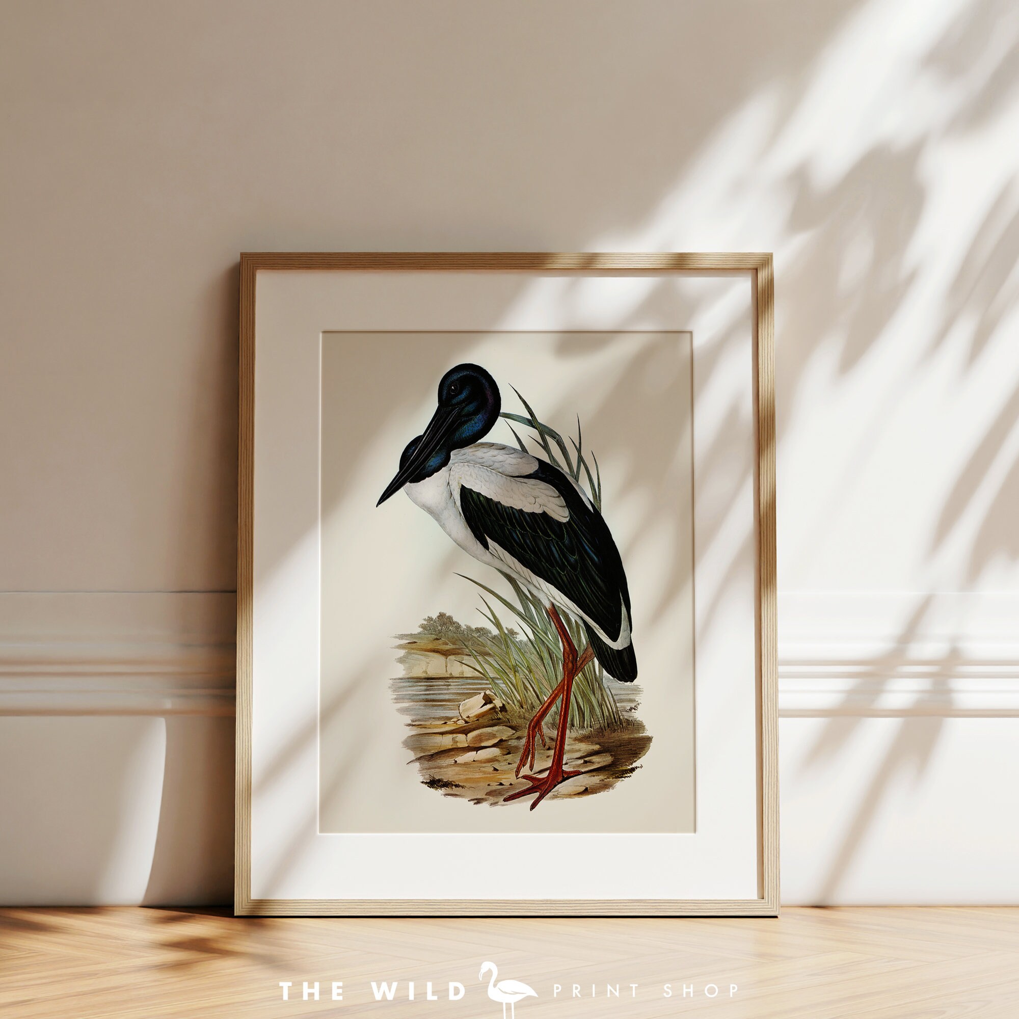 Vintage Bird Print, Heron Print, Coastal Bird Print, Bird Wall Art ...