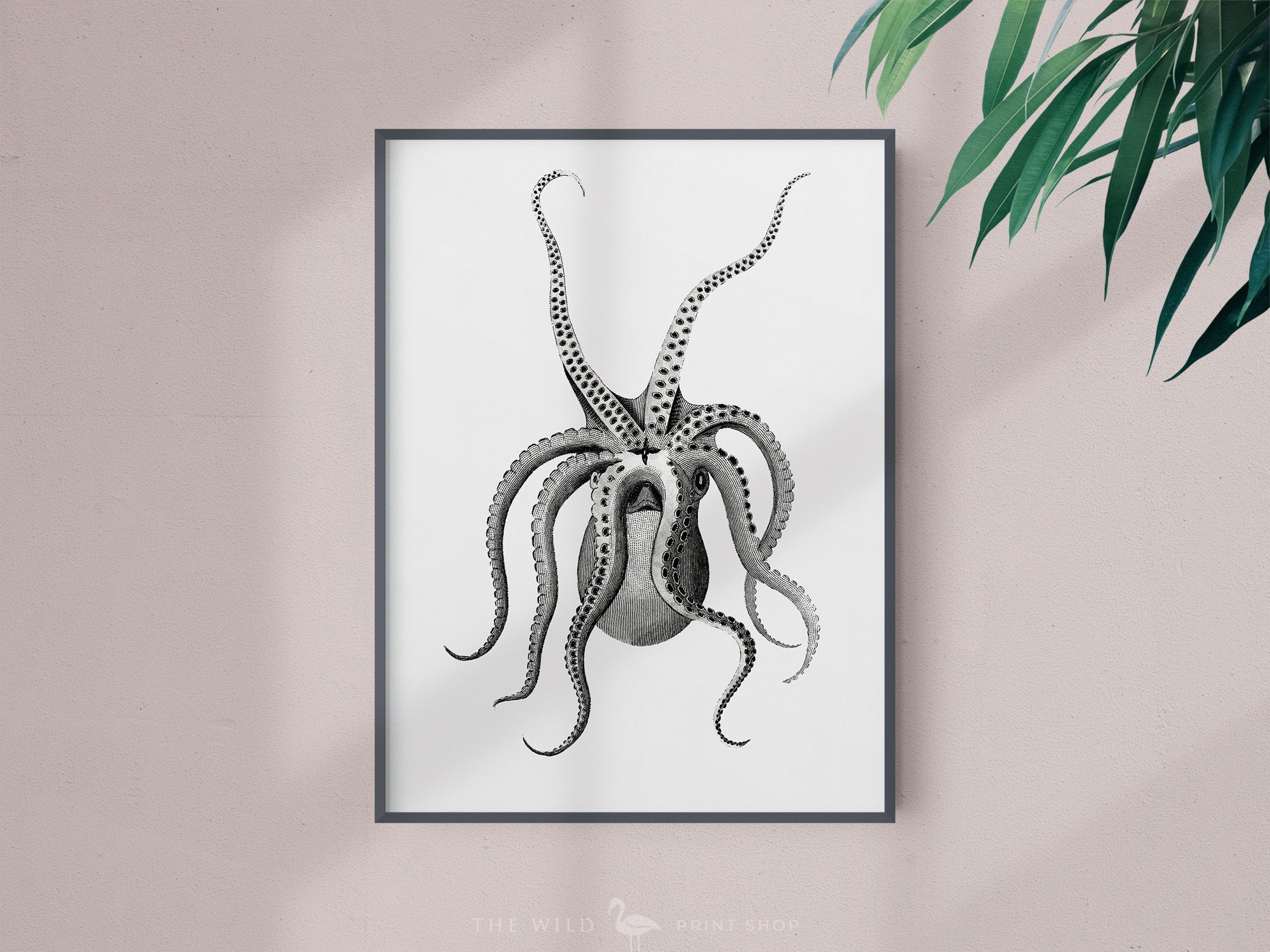 Octopus Print Vintage Octopus Print Octopus Wall Art | Etsy