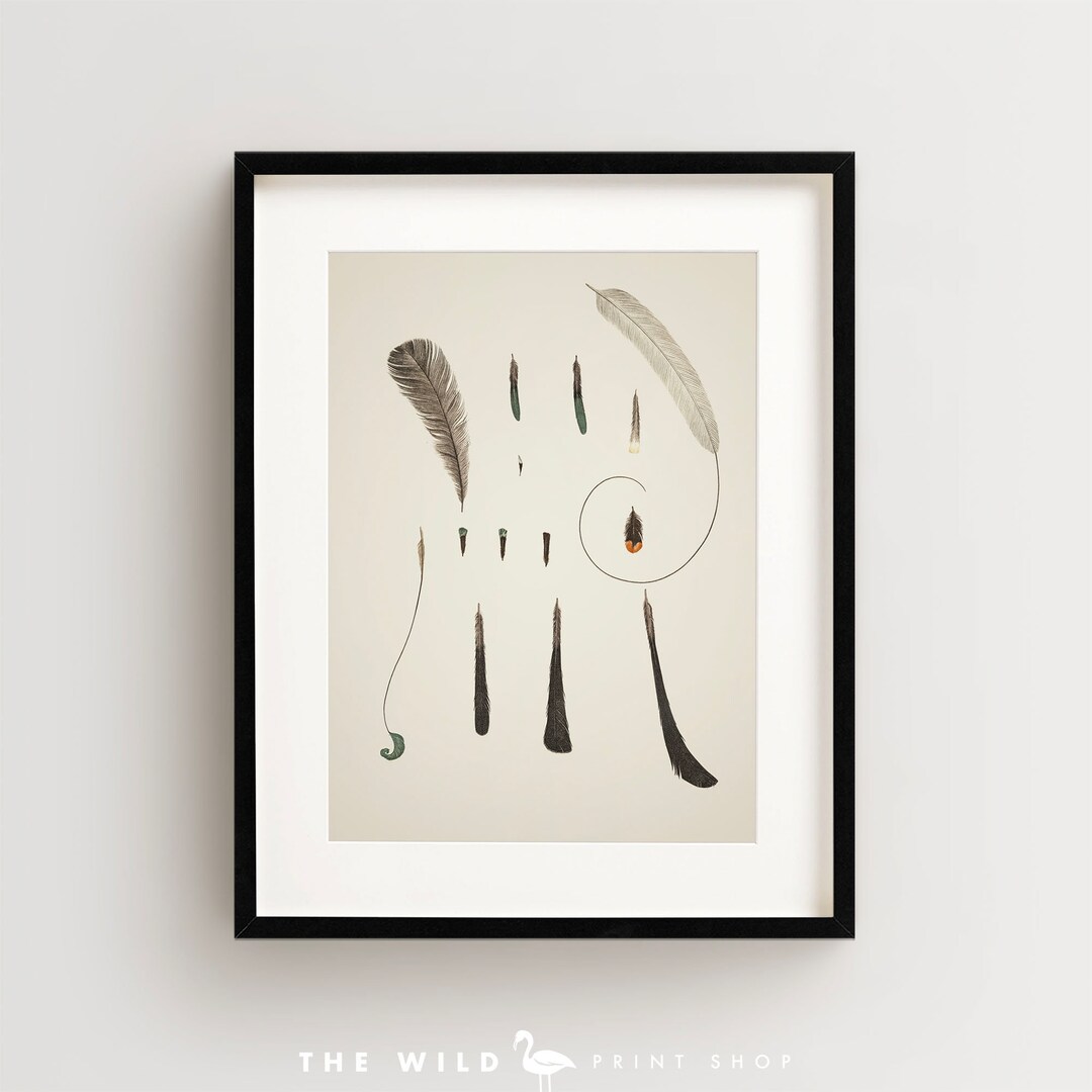 Vintage Bird Print, Bird Feather Print, Tropical Bird Print, Bird Wall ...