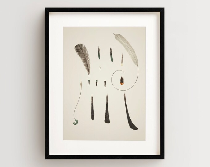 Vintage Bird Print, Bird Feather Print, Tropical Bird Print, Bird Wall ...