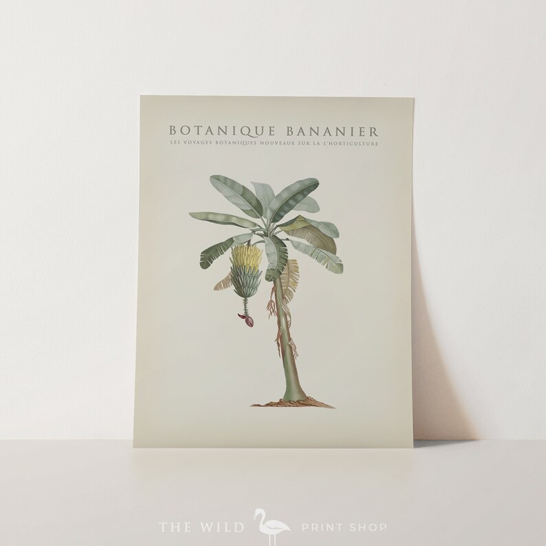 Banana Tree Print Banana Tree Art Print Vintage Botanical | Etsy