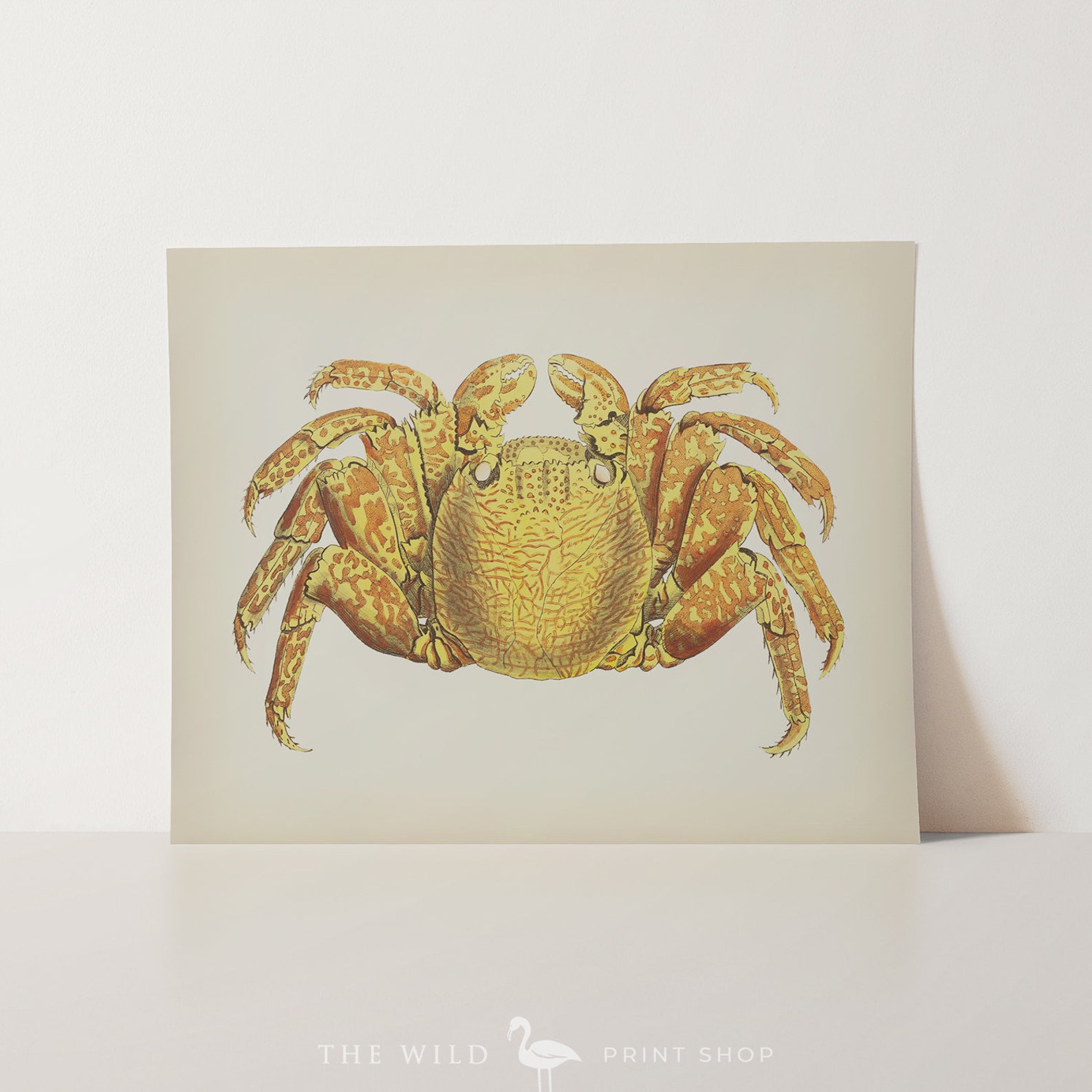 Crab Print Vintage Crab Print Crab Wall Art Nautical Print - Etsy
