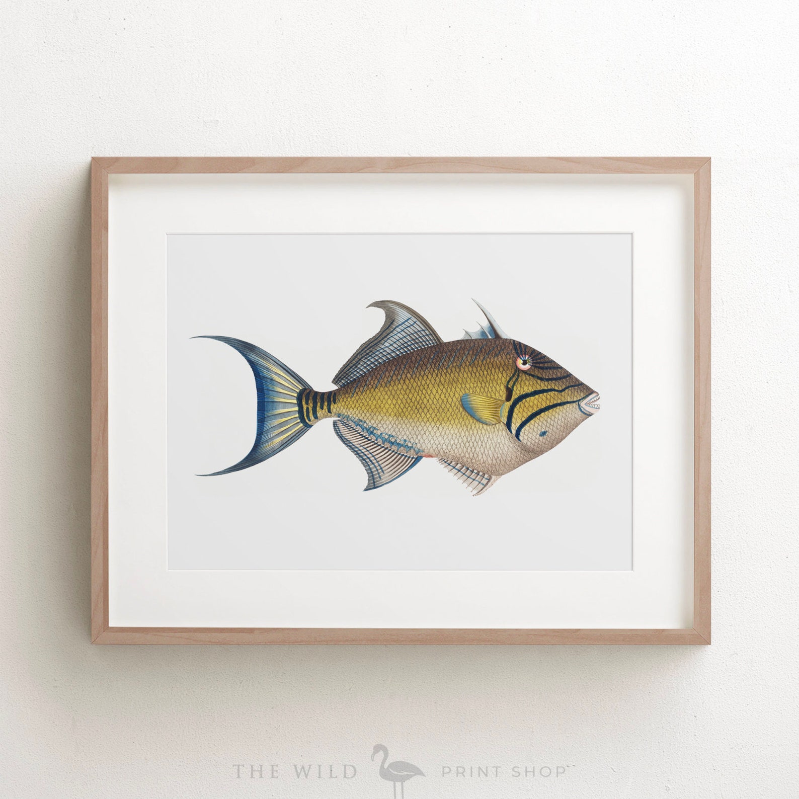 Vintage Fish Print Tropical Fish Print Fish Wall Art | Etsy