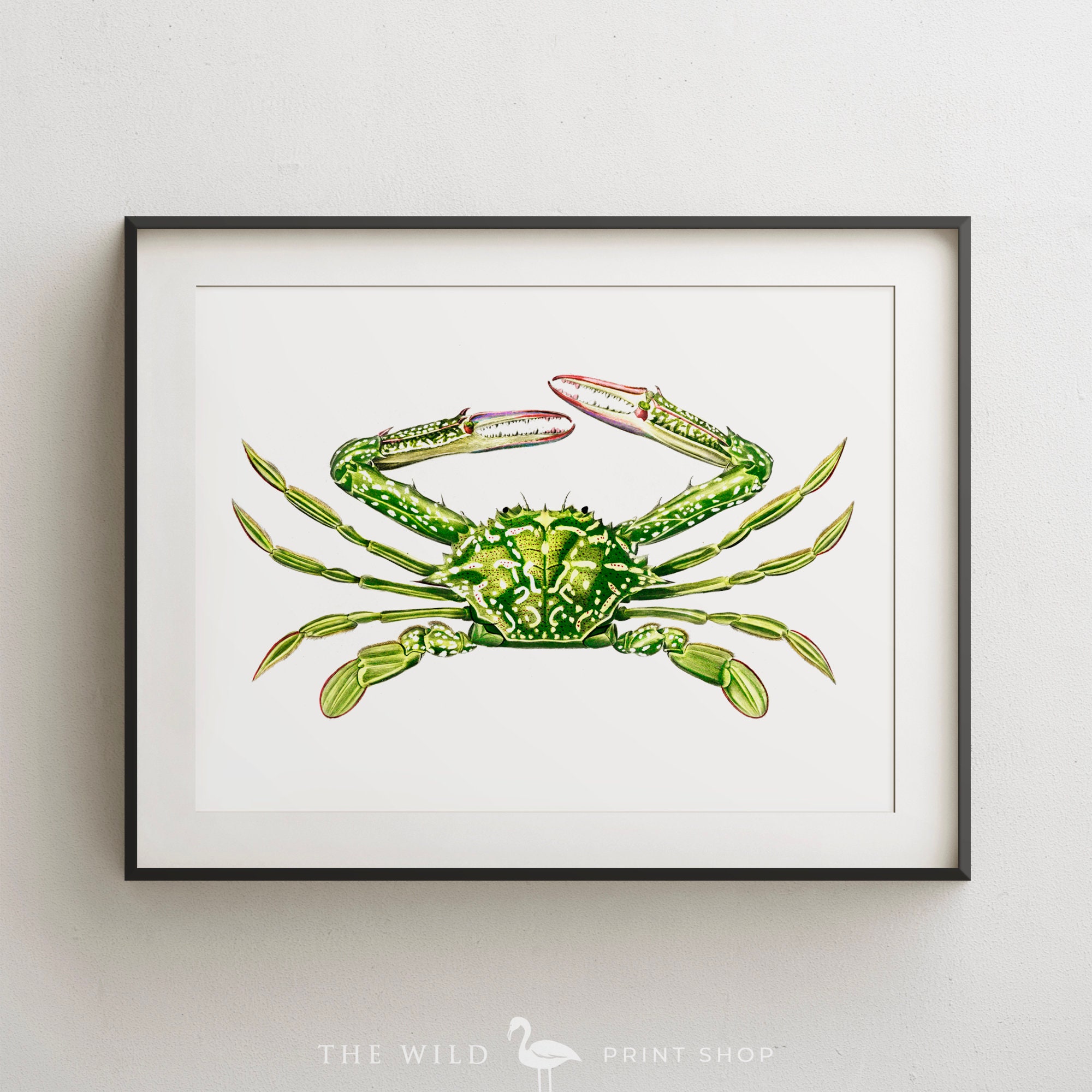 Crab Print Vintage Crab Print Crab Wall Art Nautical Print | Etsy