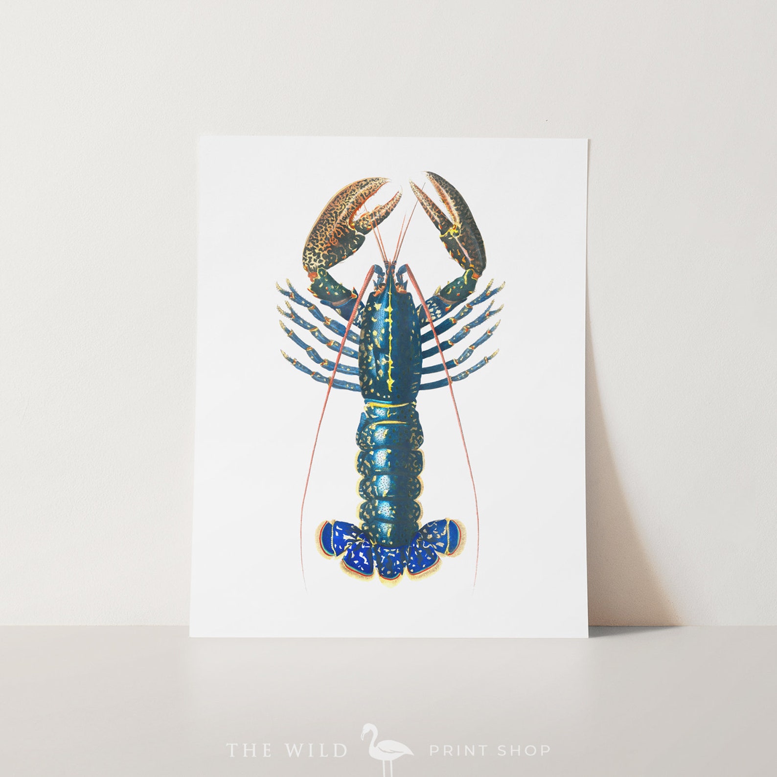 Lobster Print Vintage Lobster Print Lobster Wall Art | Etsy