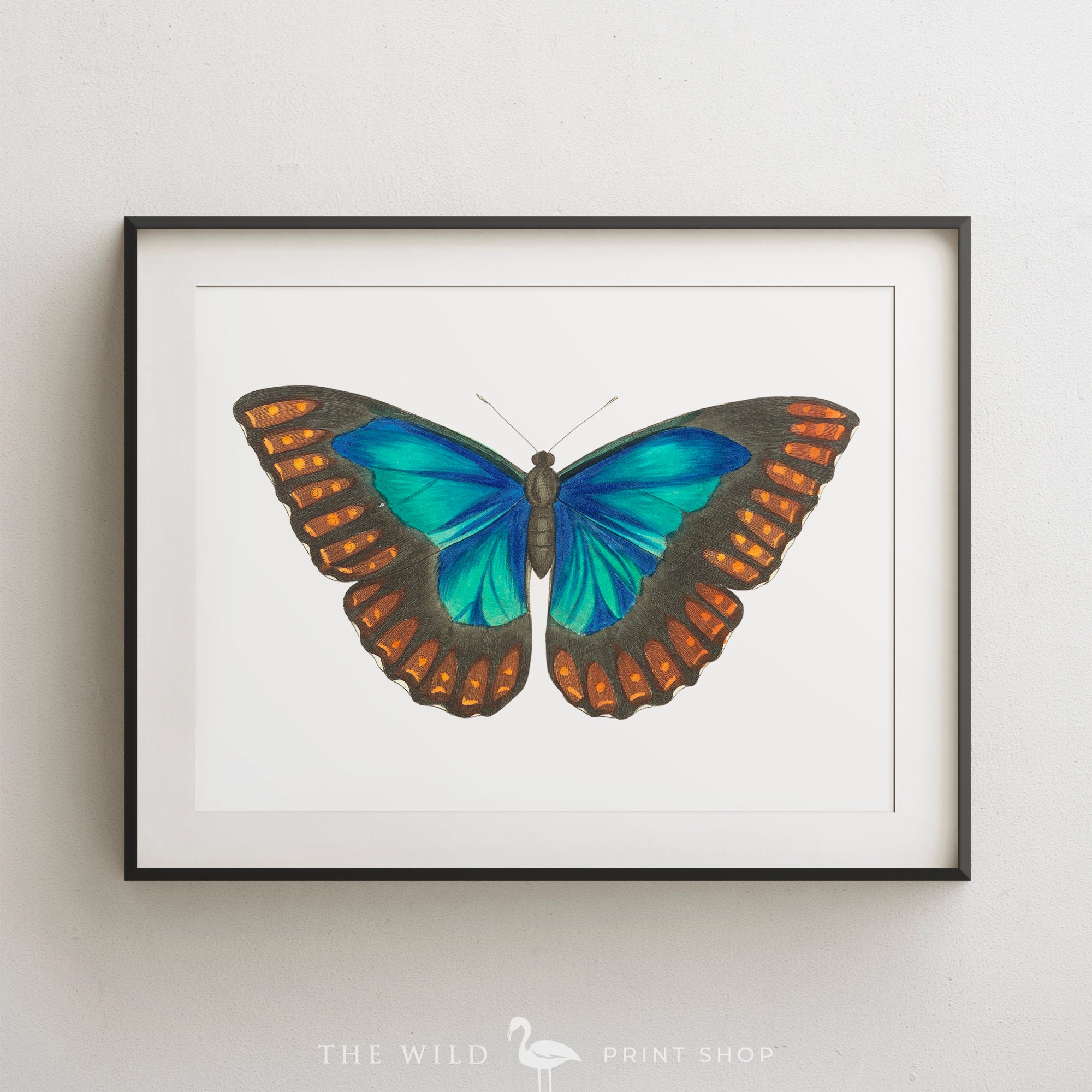 Vintage Butterfly Print Butterfly Art Print Butterfly Wall | Etsy