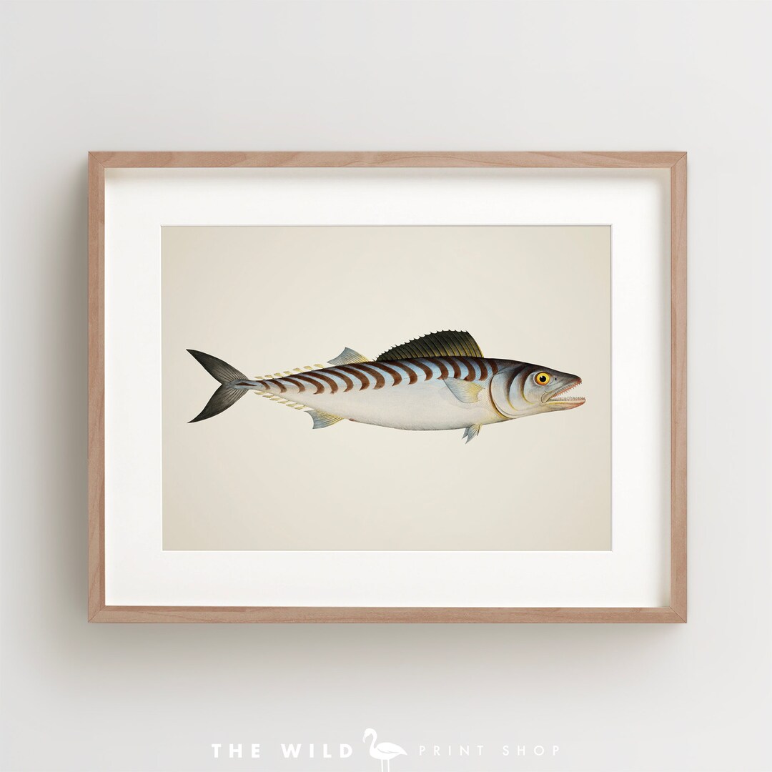 Vintage Fish Print, Tropical Fish Print, Fish Wall Art, Nautical Print ...