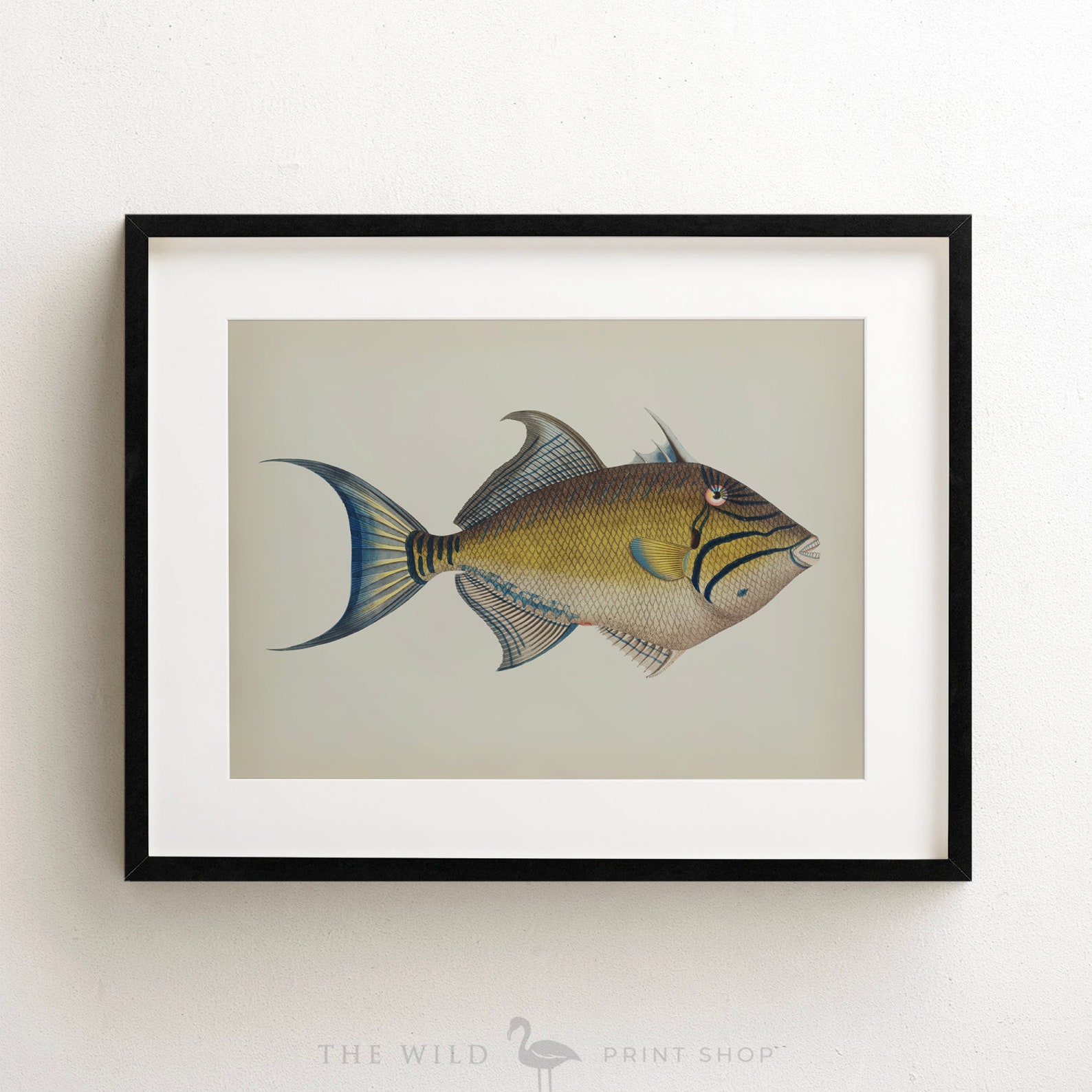 Vintage Fish Print Tropical Fish Print Fish Wall Art | Etsy