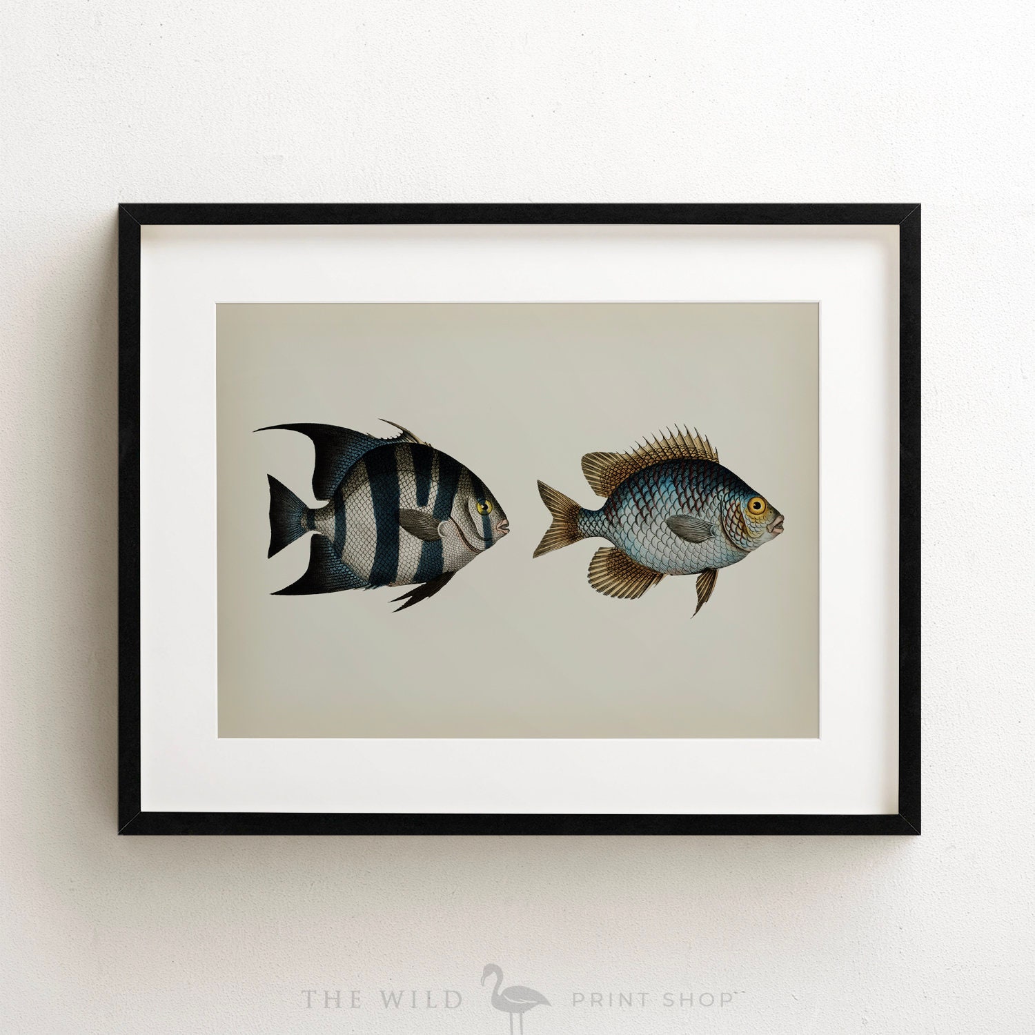 Angel Fish Print Vintage Fish Print Tropical Fish Print | Etsy