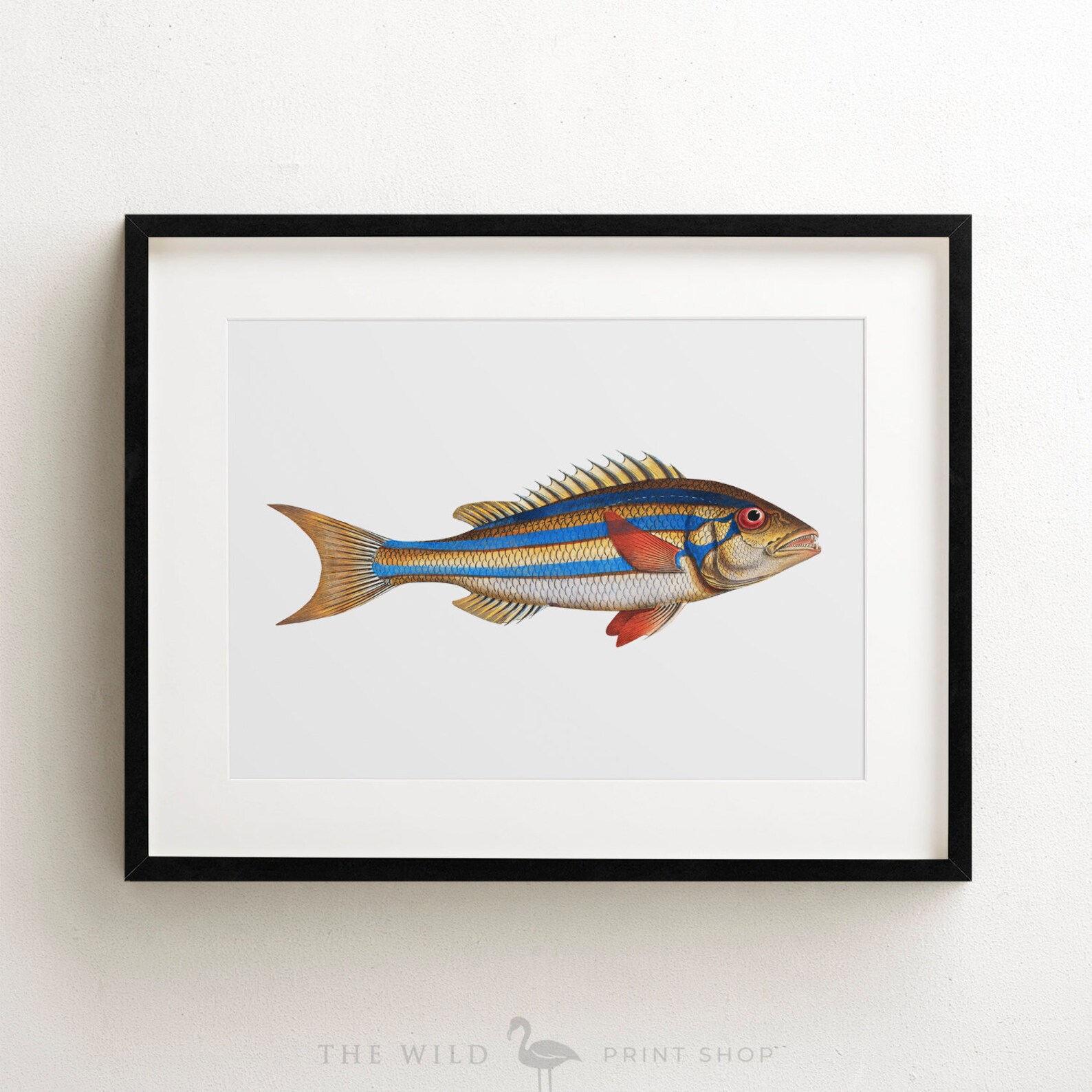 Vintage Fish Print Tropical Fish Print Fish Wall Art - Etsy