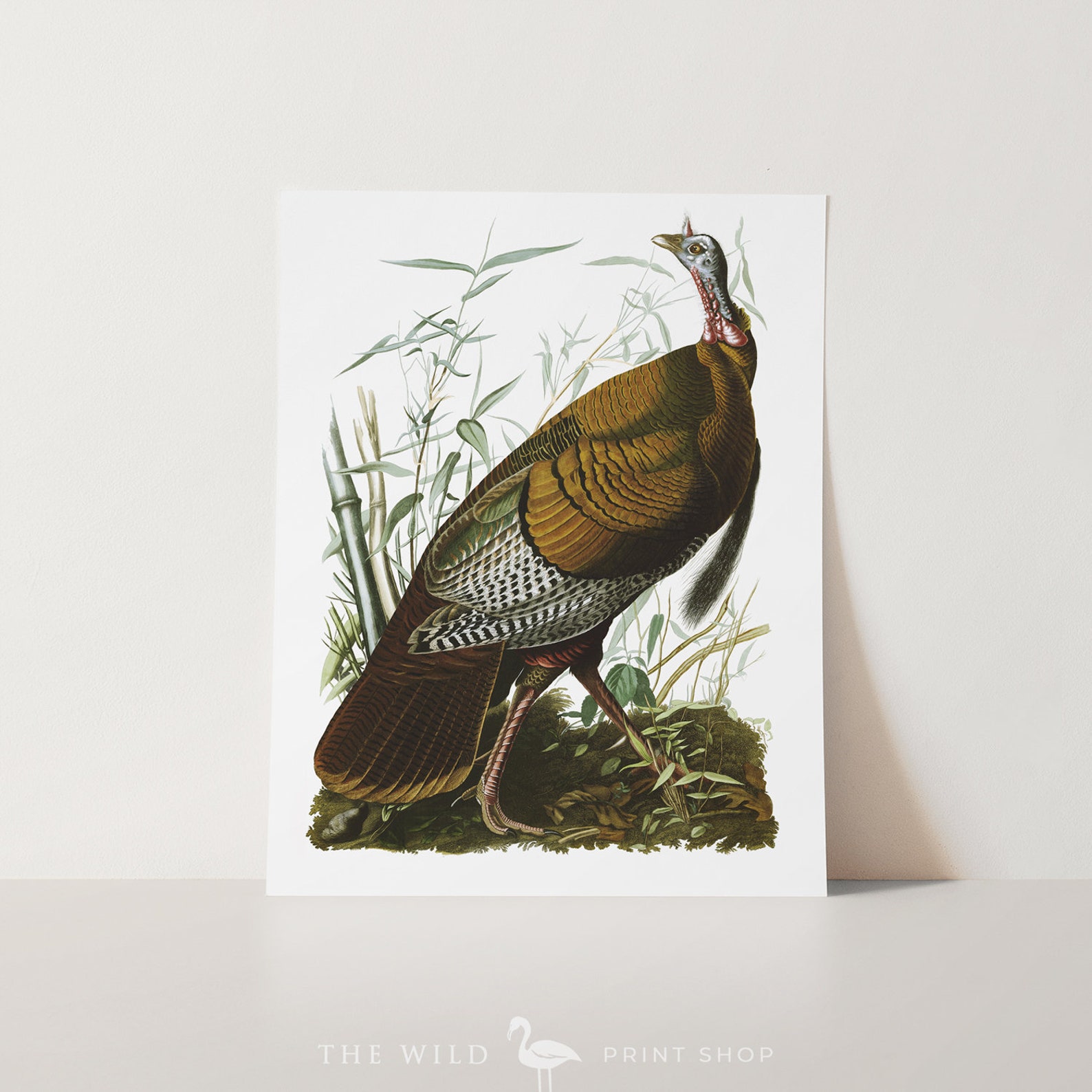 Thanksgiving Wall Decor Vintage Bird Print Wild Turkey - Etsy