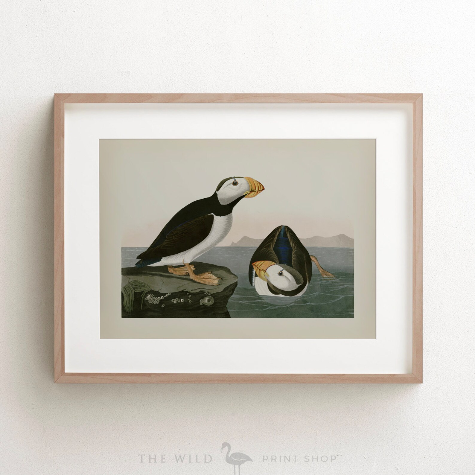 Vintage Bird Print Large Billed Puffin Print Bird Wall Art - Etsy