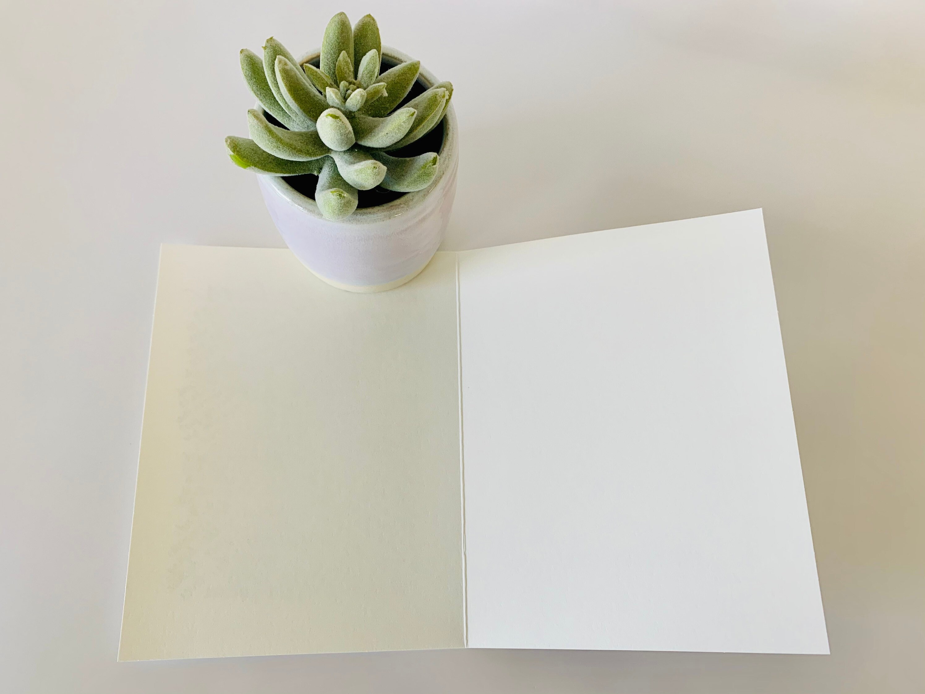 Johnny Cash Funny Birthday Card This is the Only Cash Youre - Etsy