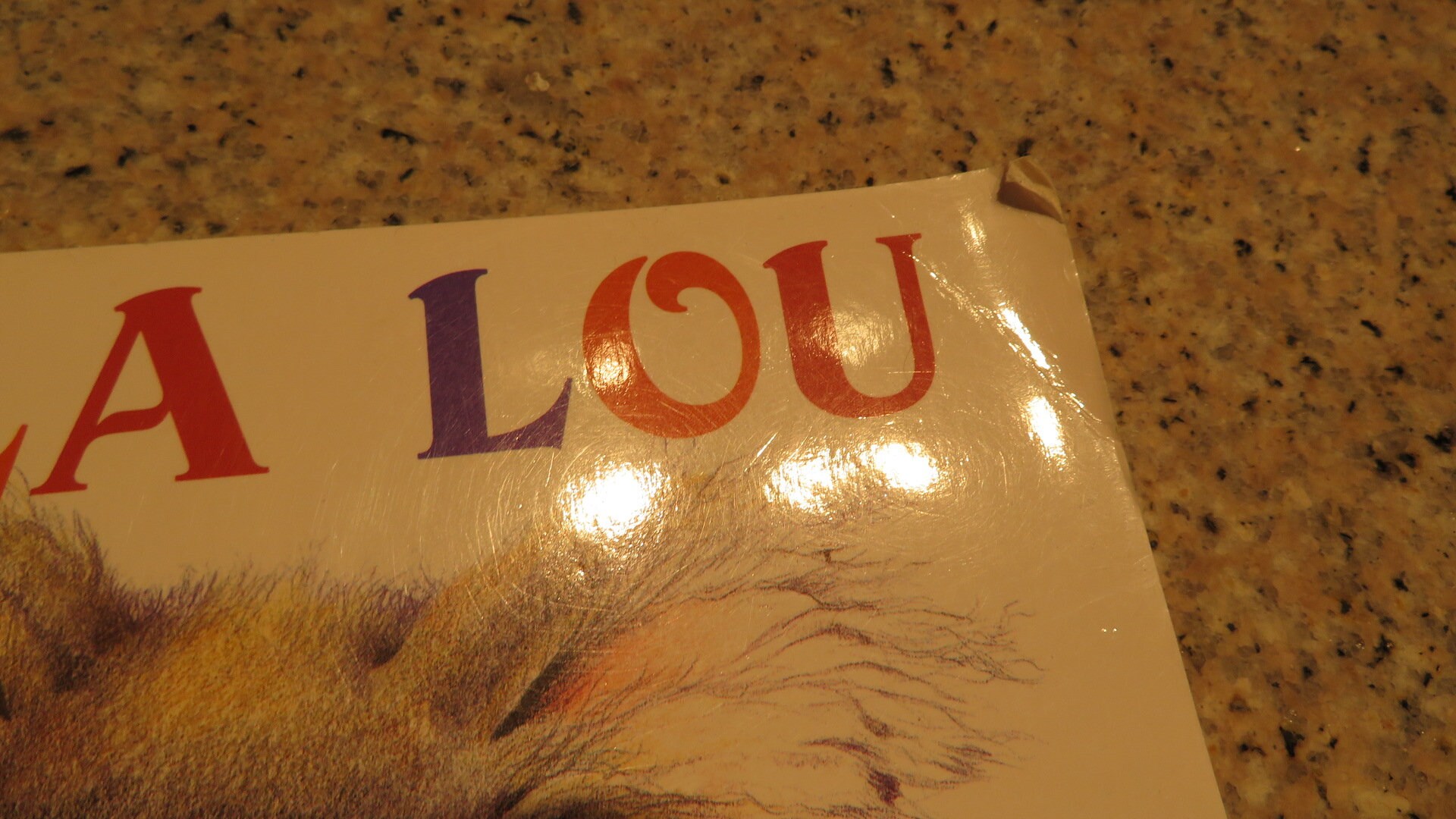 KOALA LOU Mem FOX Australian Animals 1989 Softcover Children's Book ...