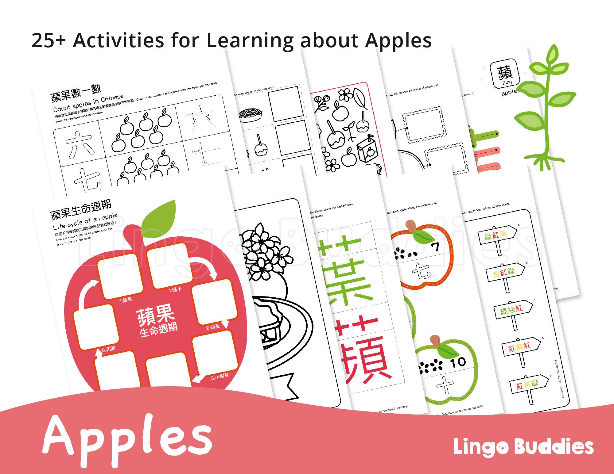 Apple Activity Printable | Fall Chinese Worksheets for Kids | Chinese ...