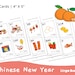 Chinese New Year Flashcards | Printable Chinese Flashcards ...