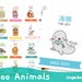 Chinese Flashcards | Printable Animal Flashcards | Zoo Animal Cards ...