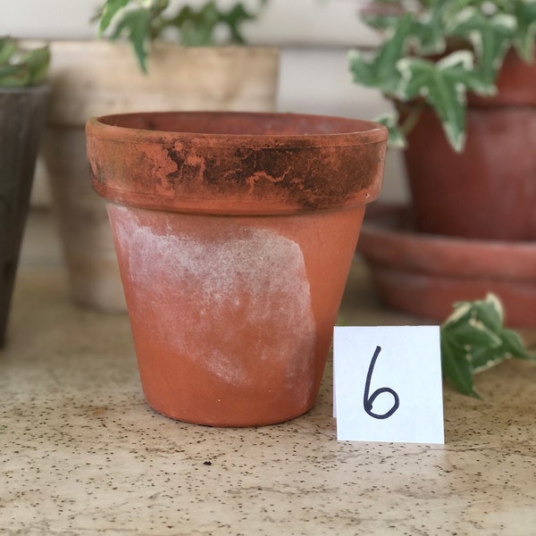 Aged Terracotta Pots - Etsy